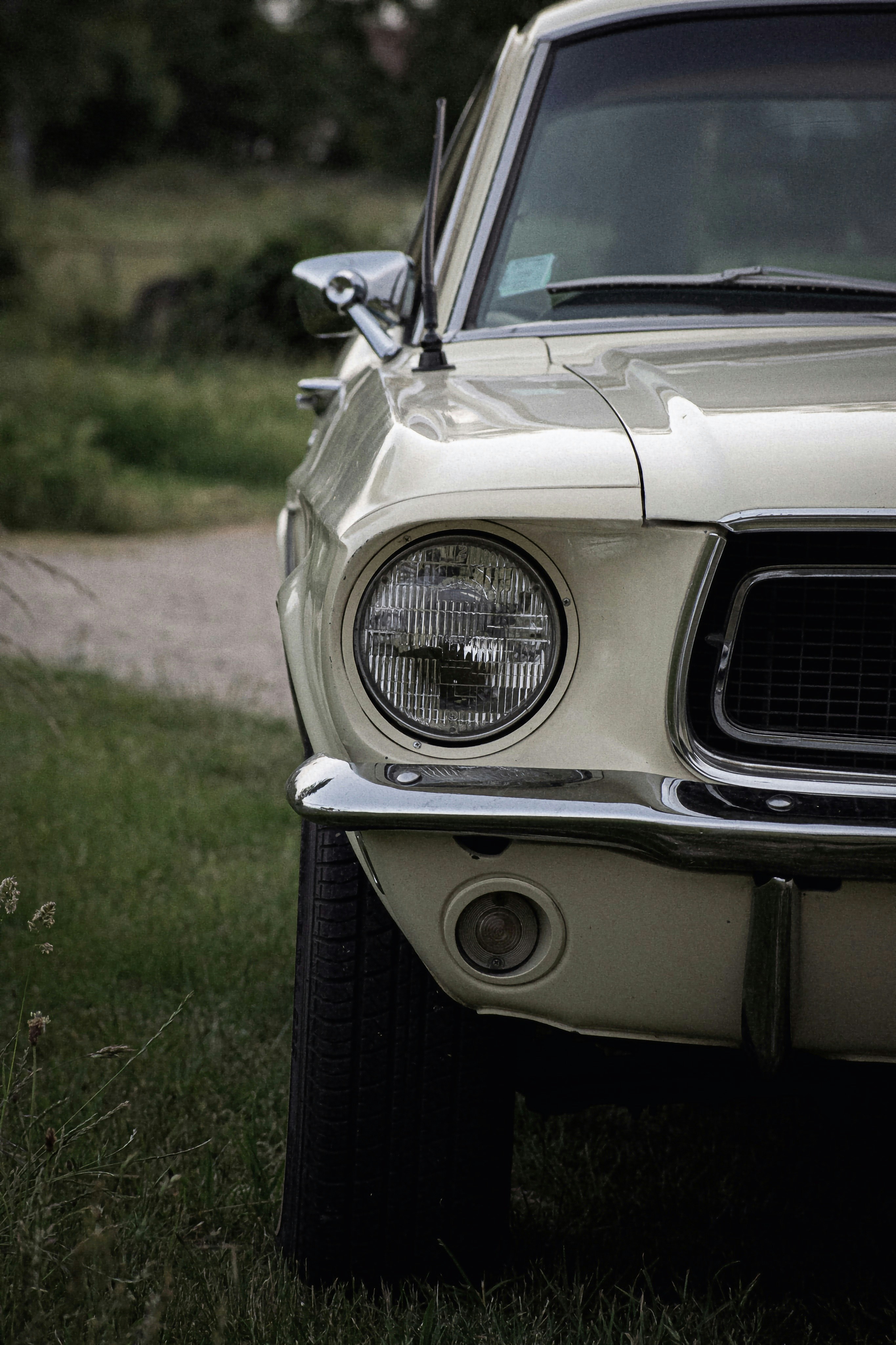 An old mustang sitting in a grassy field photo – Free Car Image on Unsplash