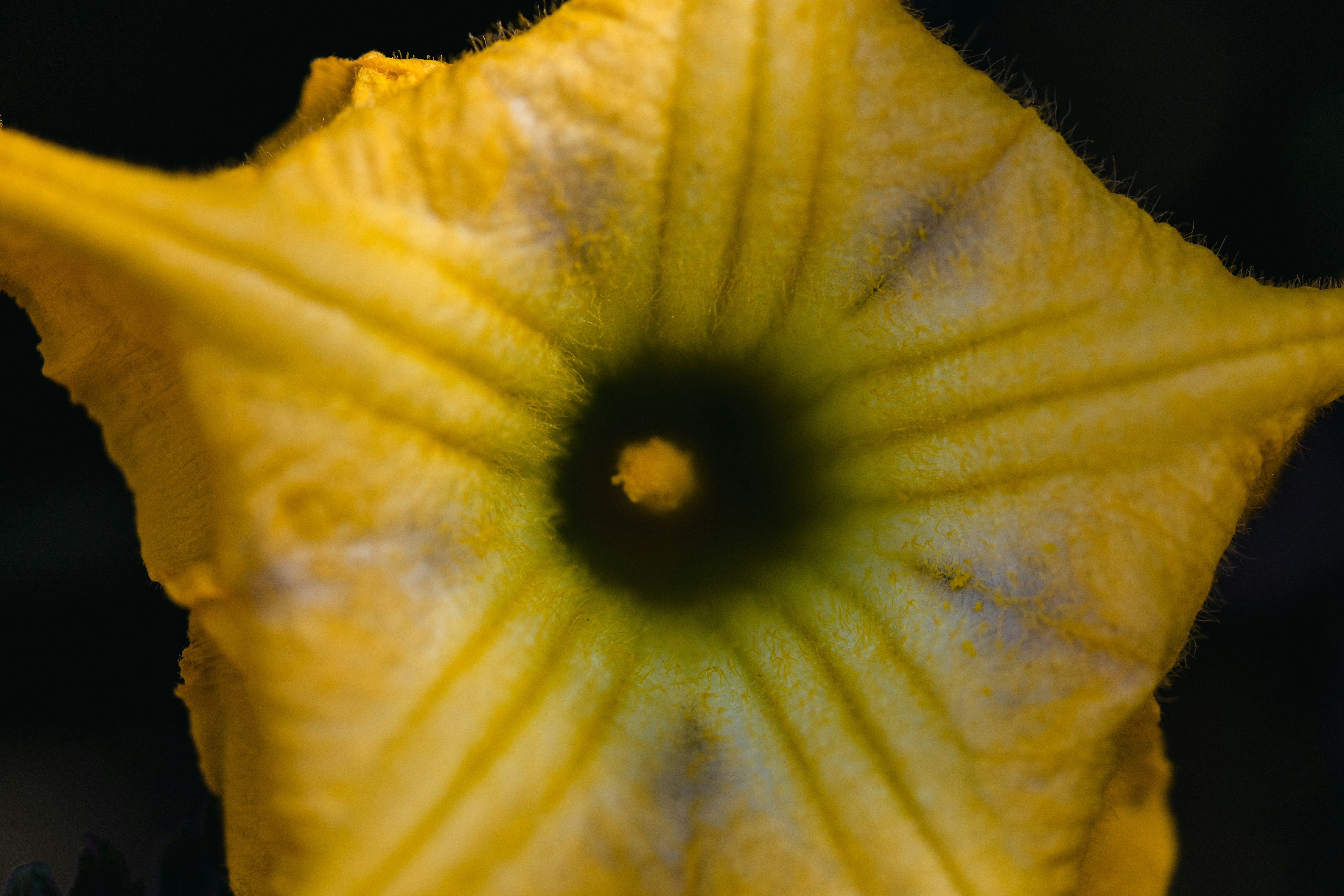 Photo by Rafael Rodrigues with Canon EOS RP