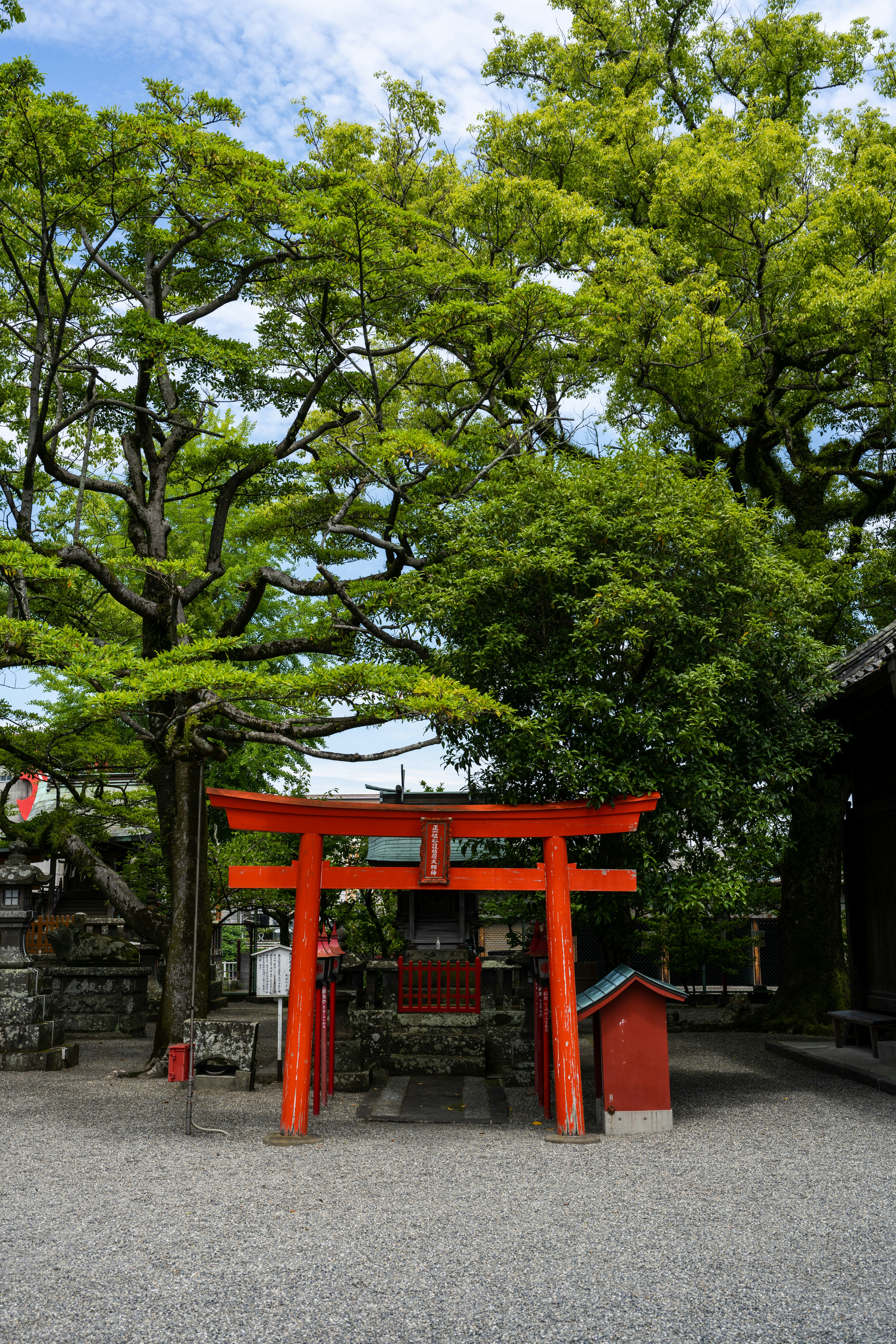 A red tori tori tori tori tori tori tori tori tori tori tori tori tori ...