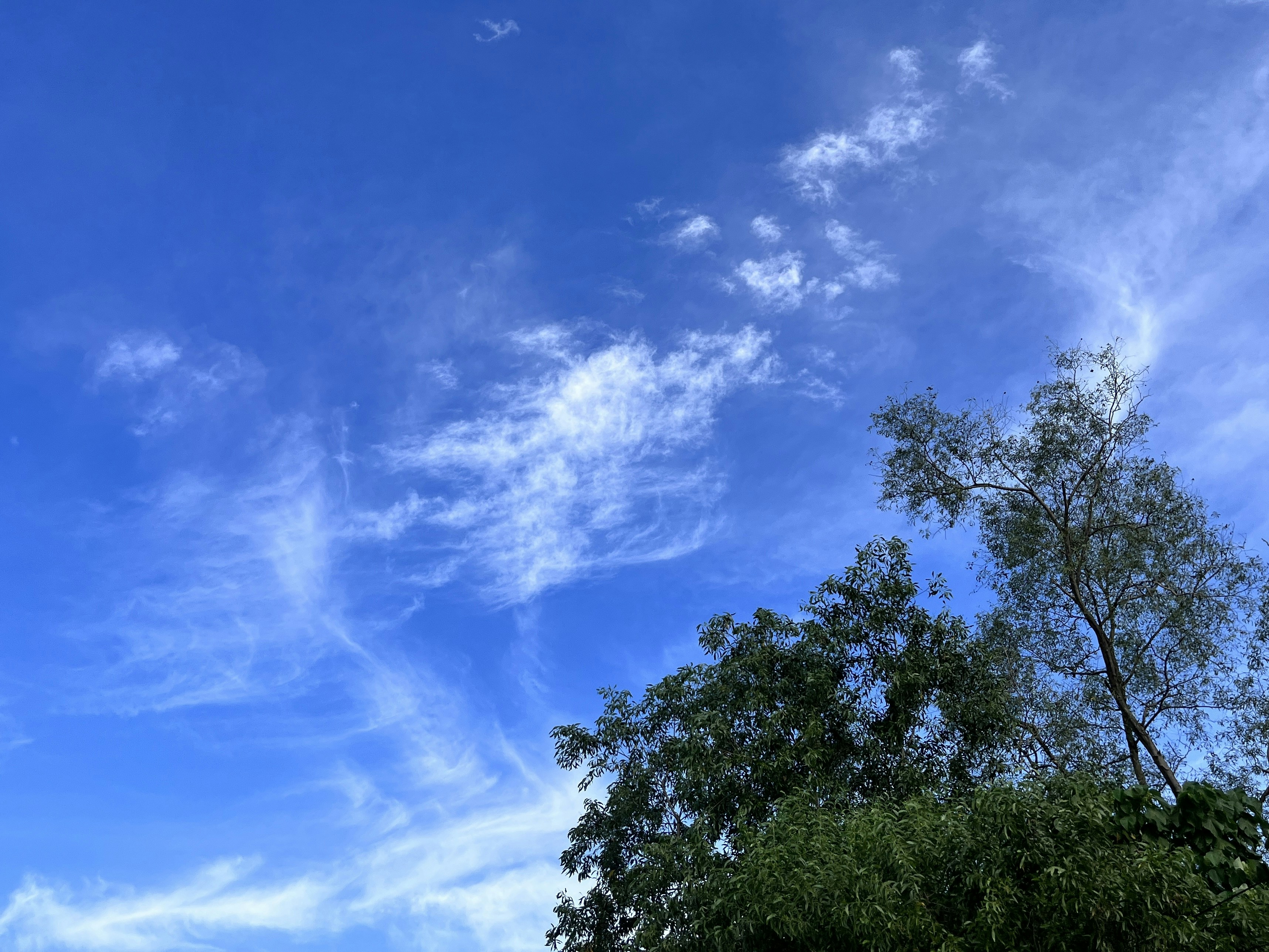 Photo by Chan Joee with Apple iPhone 13