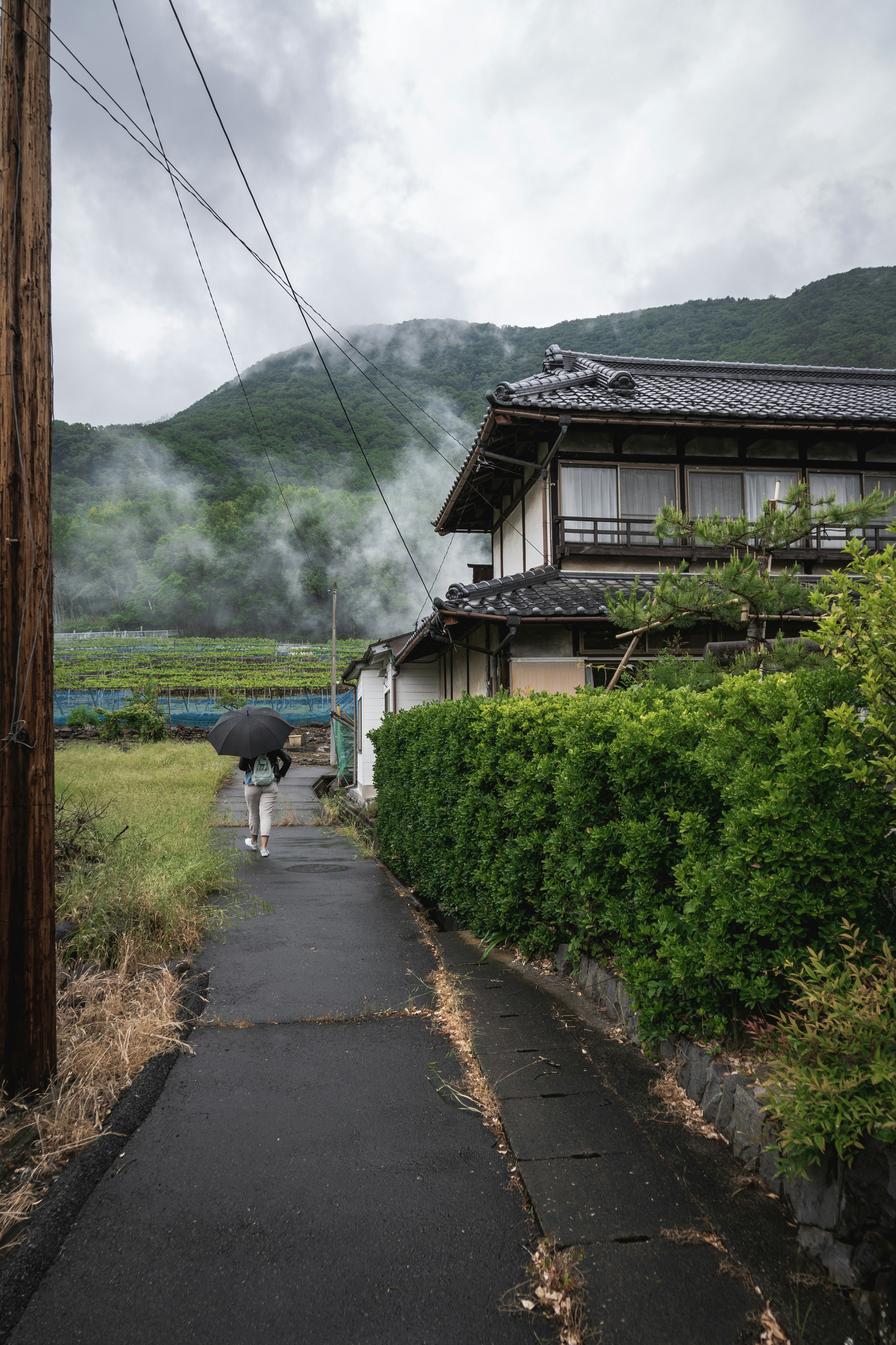 A person with an umbrella walks along a narrow paved path beside a traditional Japanese house, with hedges and distant misty mountains.