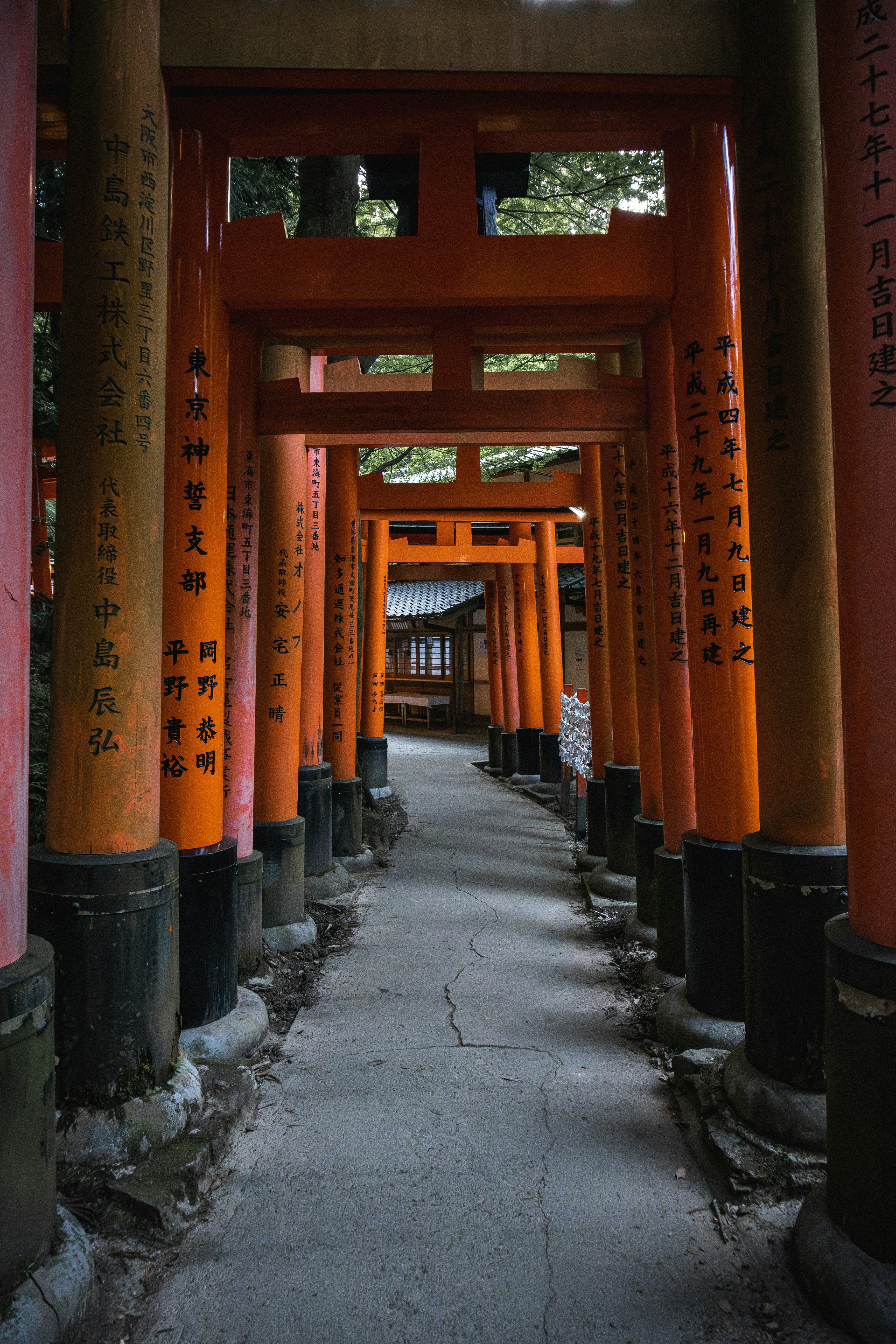 Photo by Artem Shuba with Nikon Zfc