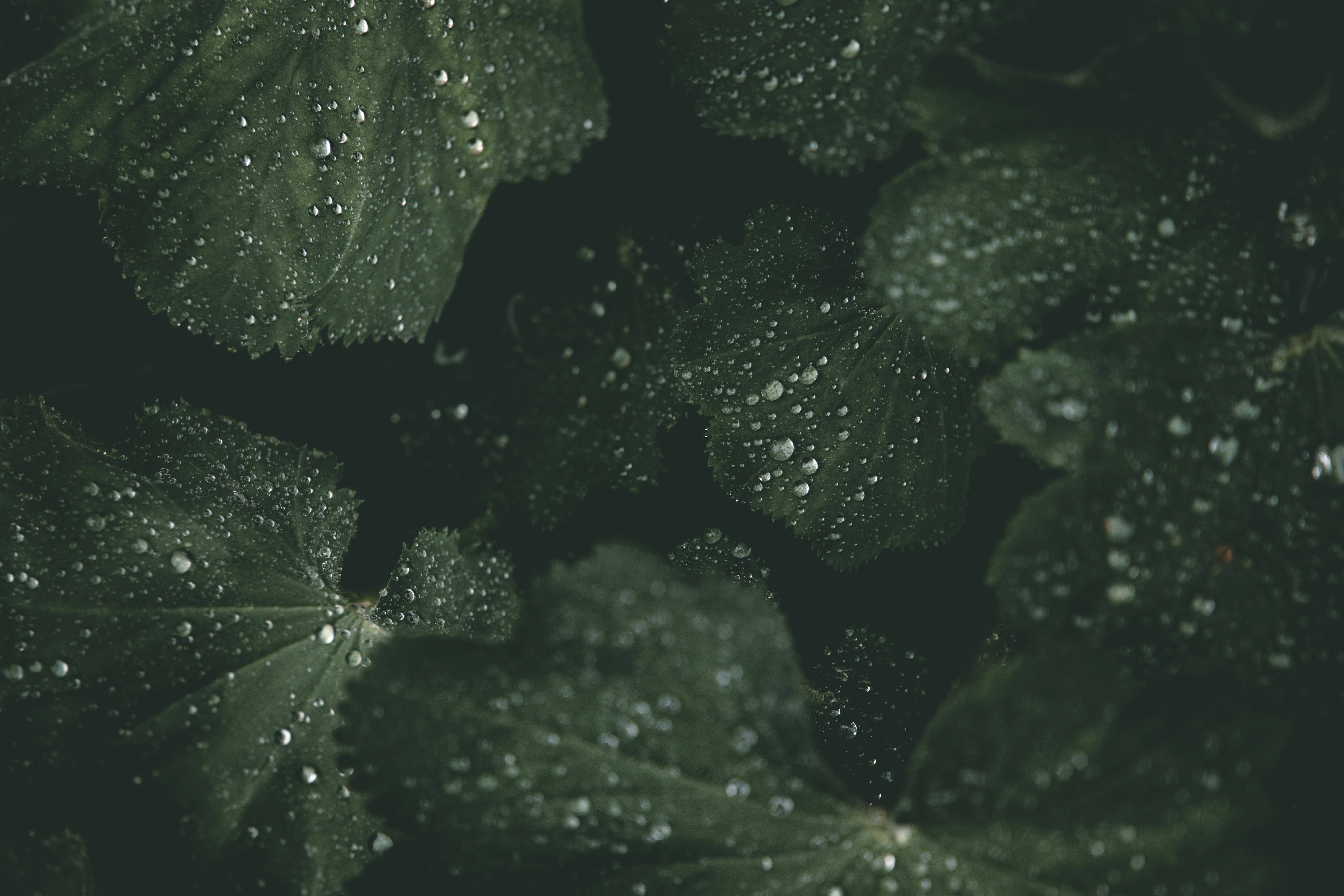 Photo by Jack Baxter with Canon EOS 6D