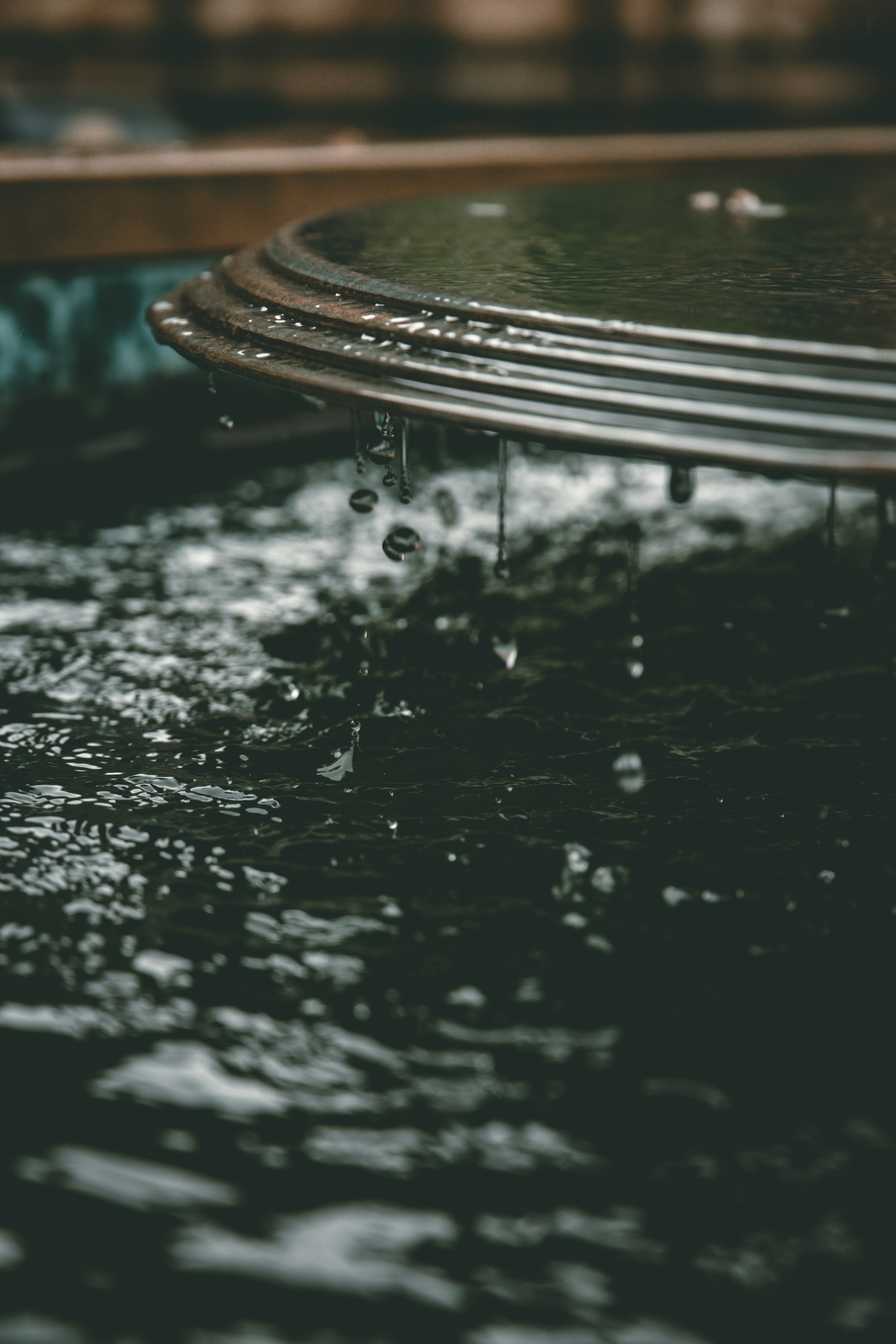 A close up of a frisbee in a pool of water photo – Free Nature Image on ...