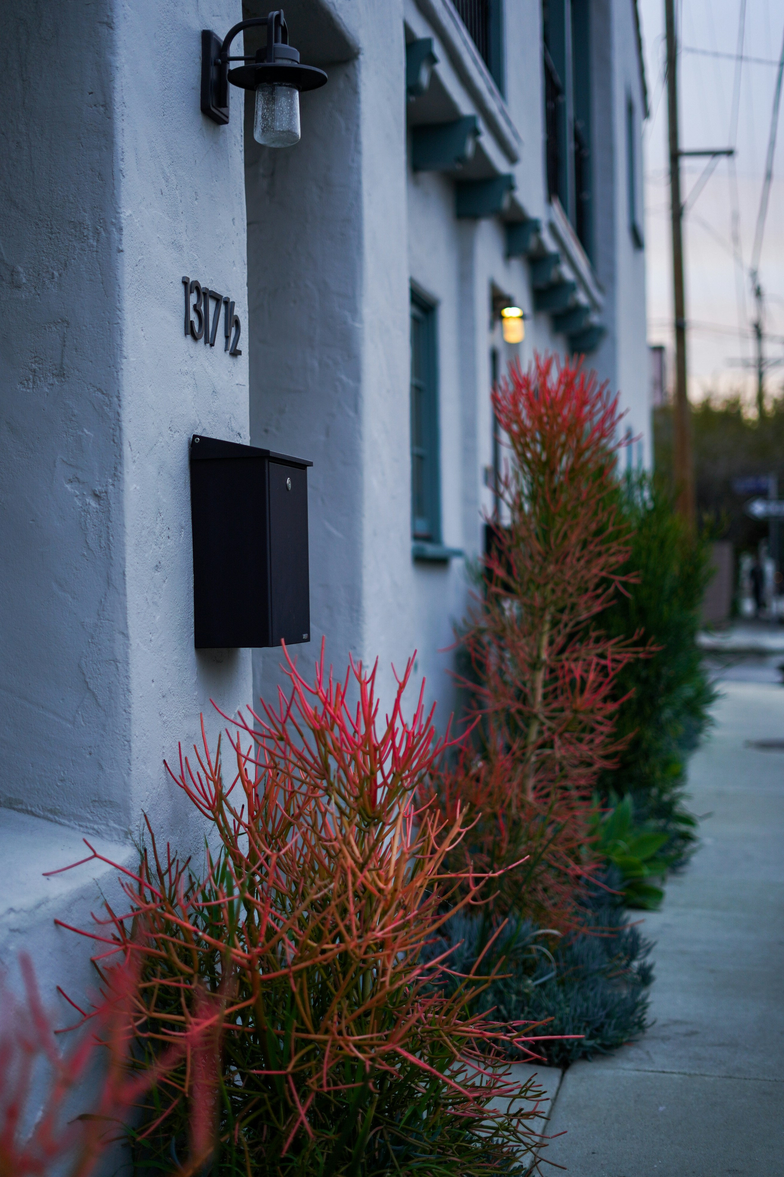 Photo by Anastasiya Badun with Sony Alpha 7 III