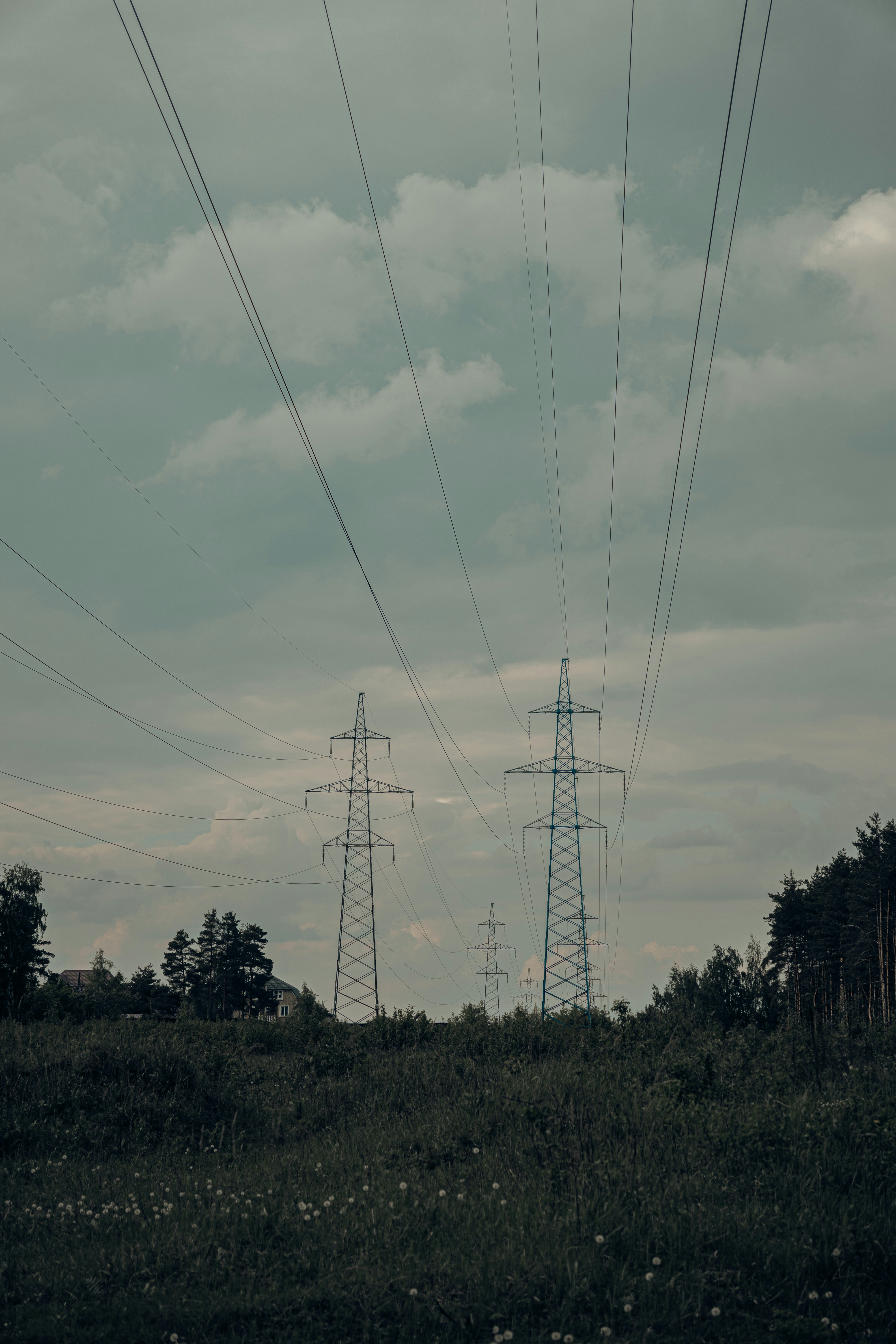 A field with power lines and trees in the background photo – Free Cable ...