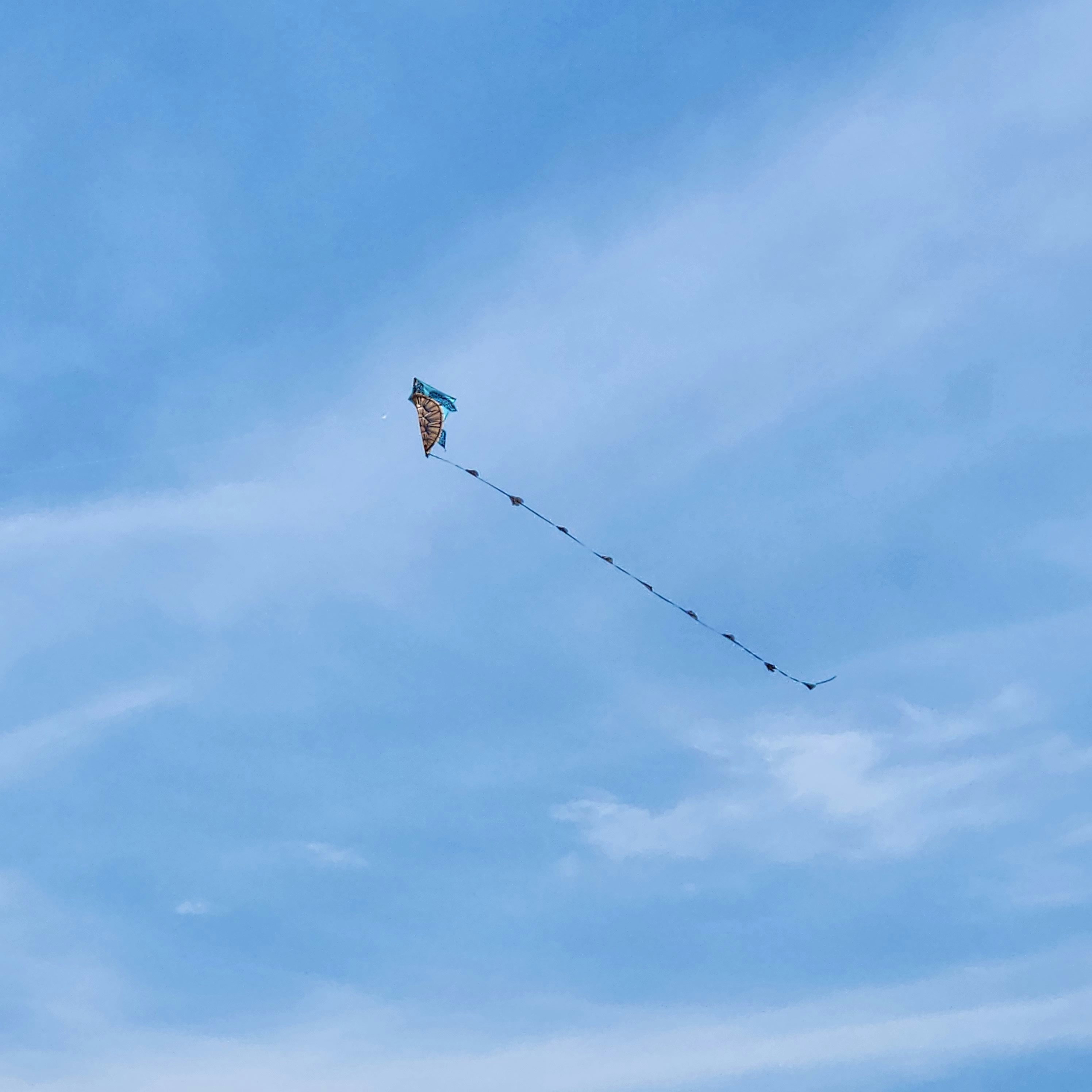 High-Stream Kite Dash Across a Clear Sky