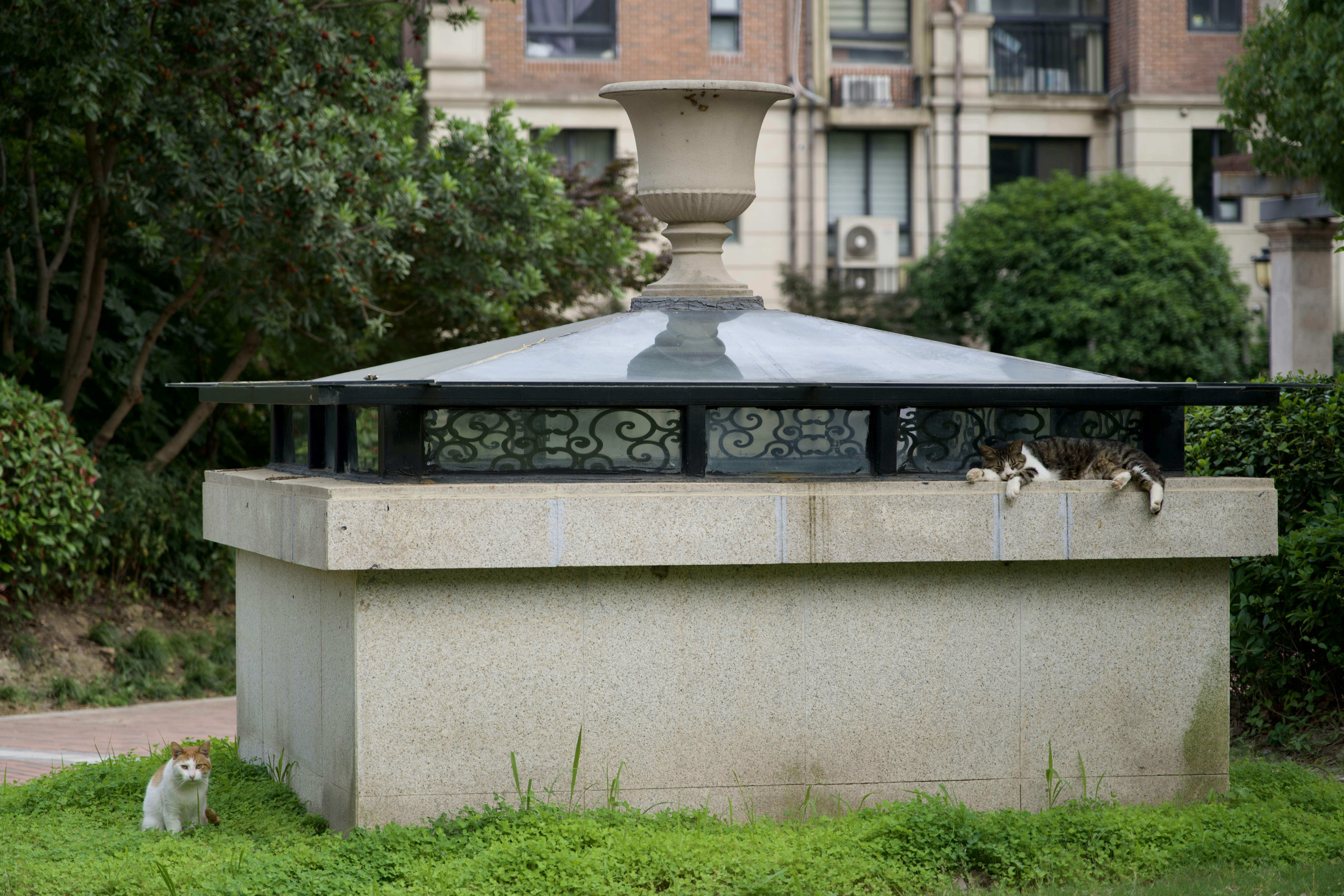 Feline Watchers on a Stone Fountain in a Quiet Park