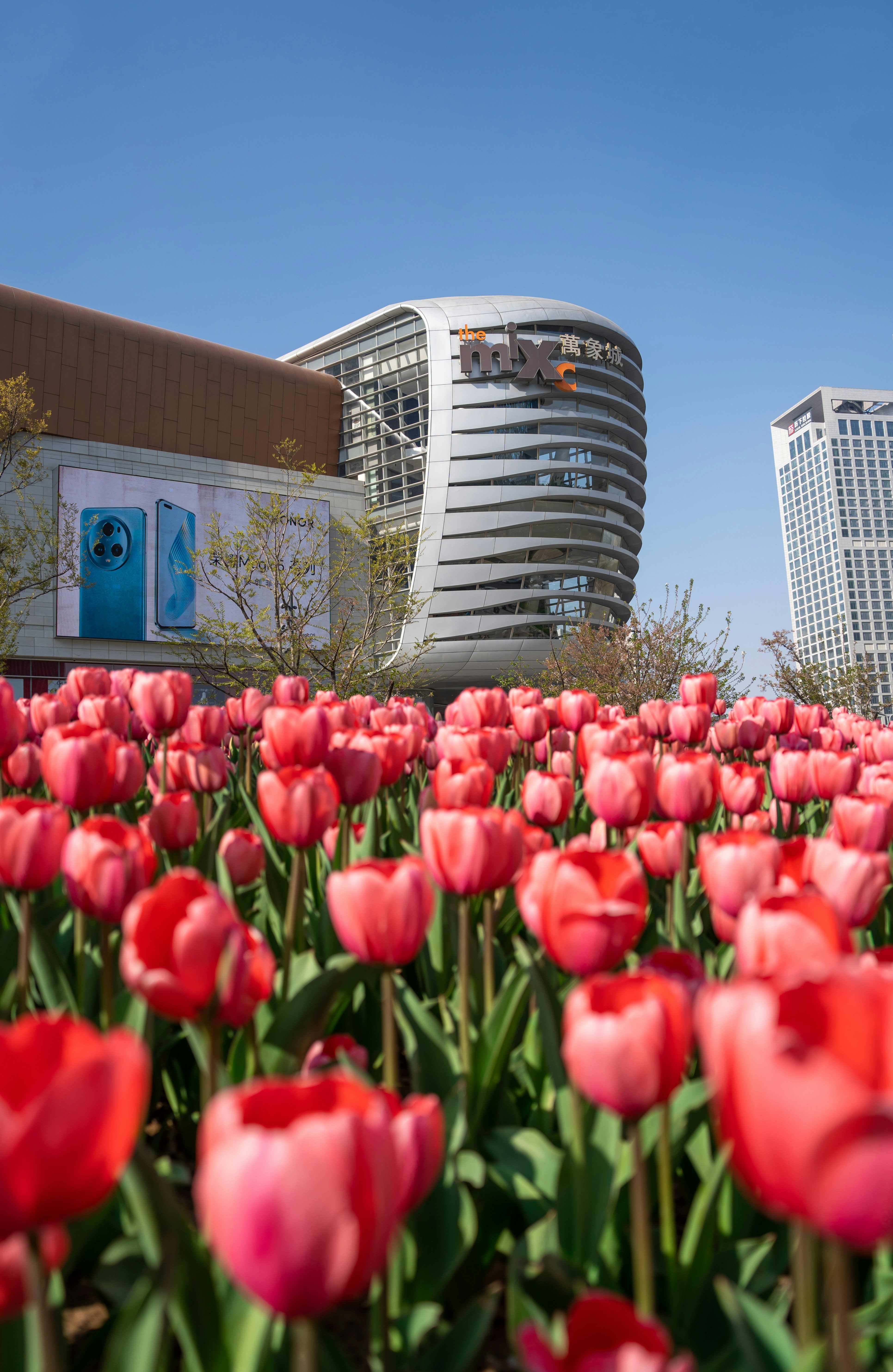 Curved Tower Rising Above a Sea of Tulips