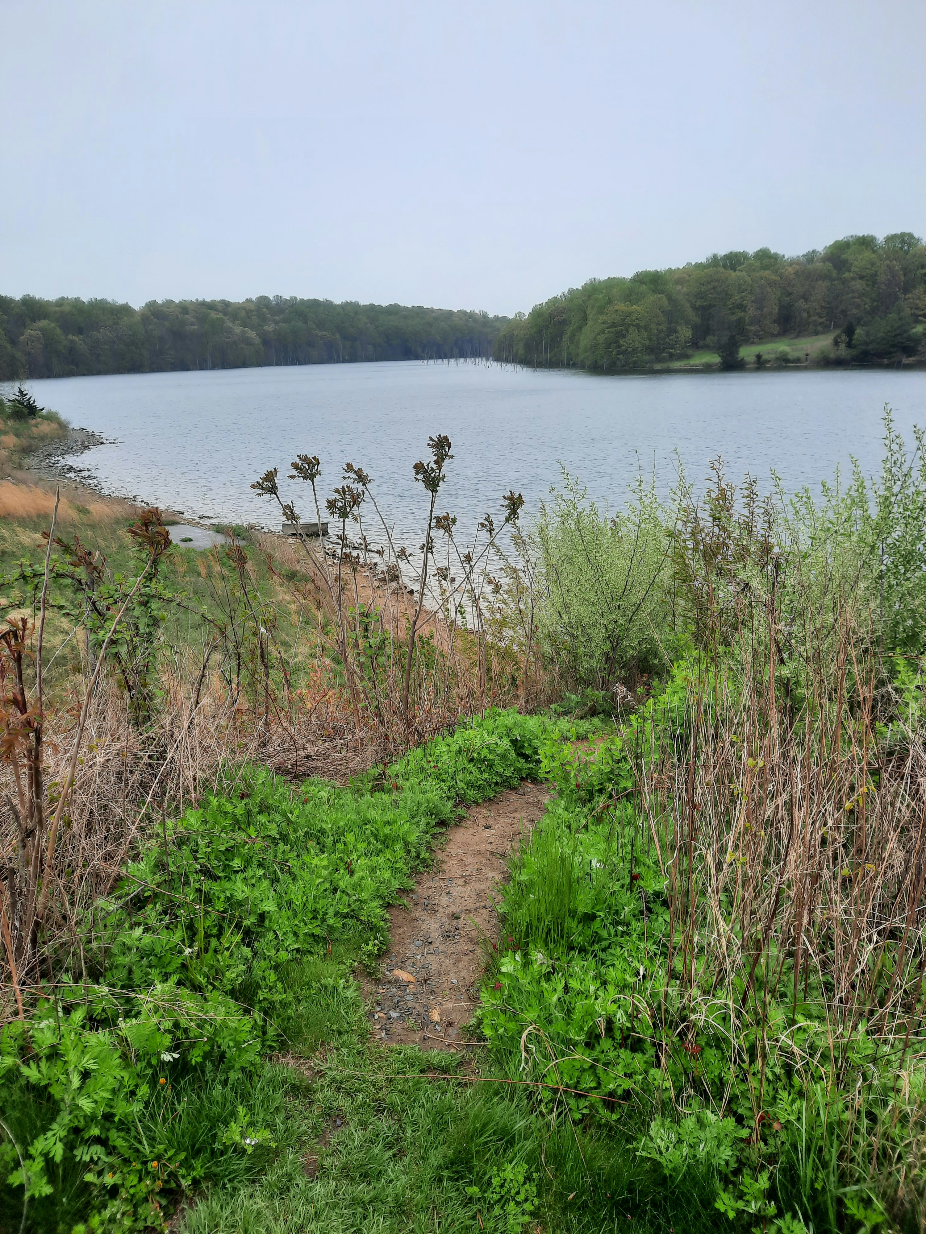 A path leading to a body of water photo – Free Nature Image on Unsplash