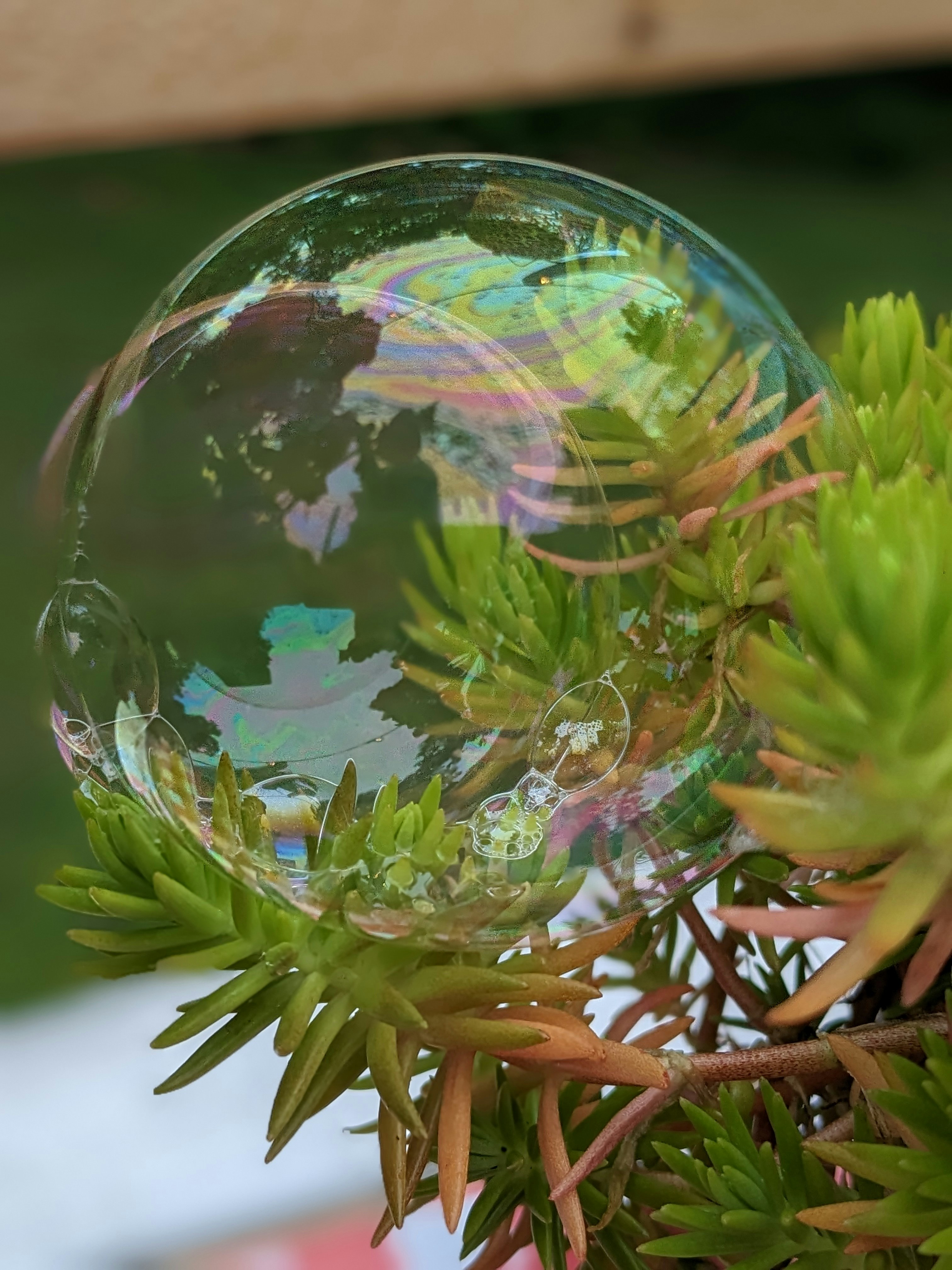 Best 500+ Bubble Pictures | Download Free Images on Unsplash