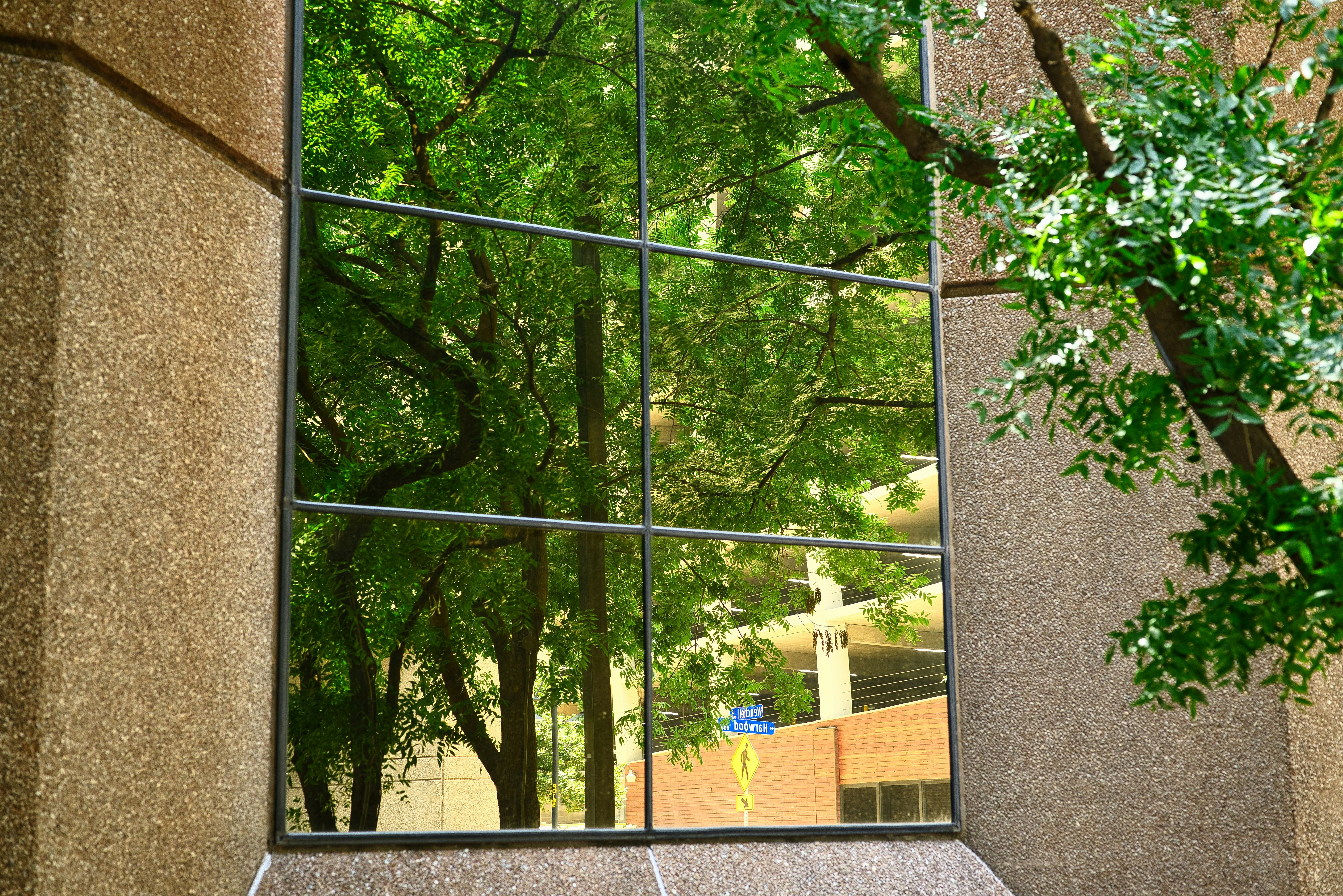 Glass Reflection Trees
