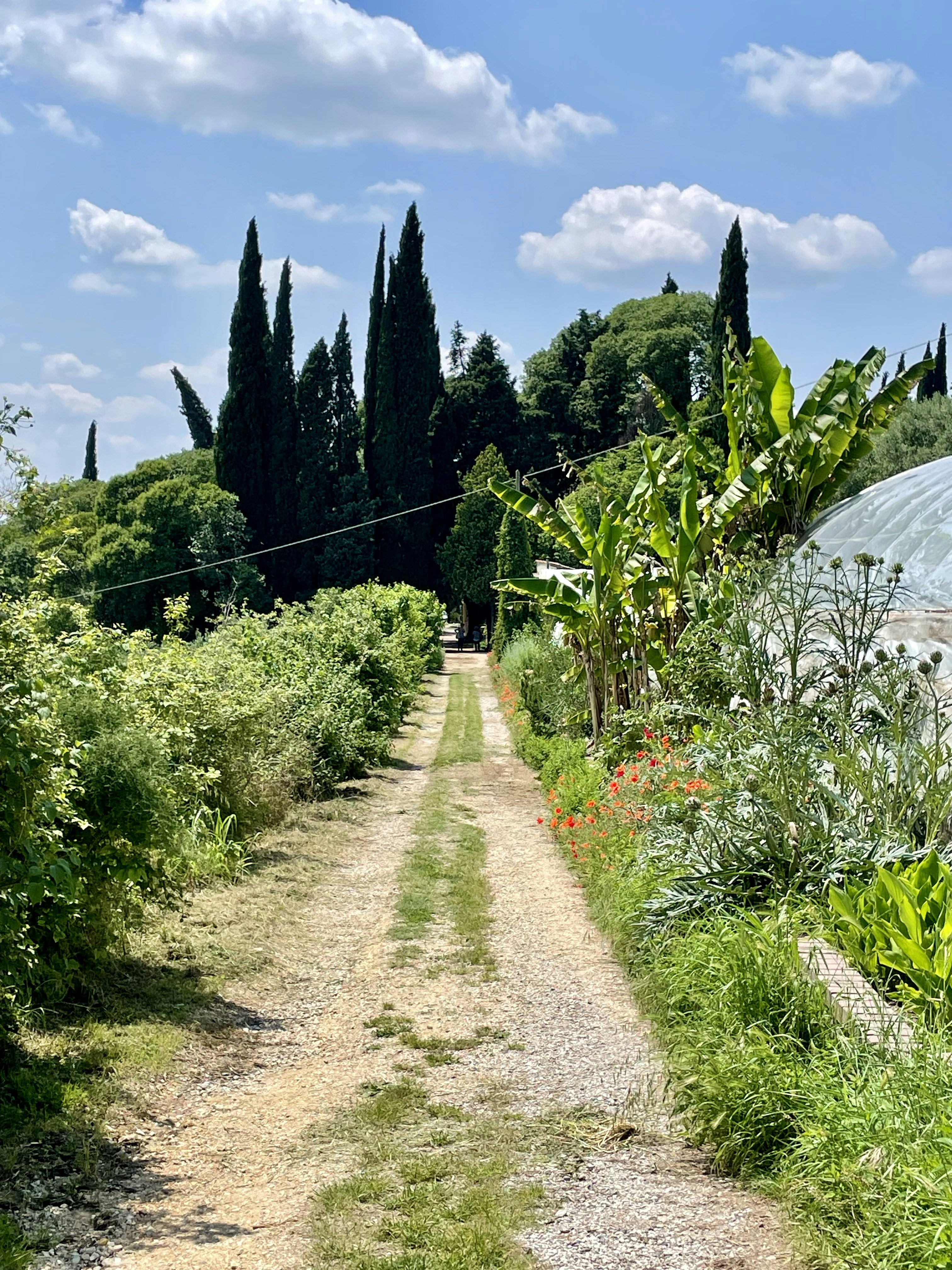 Photo by Michael Martinelli with Apple iPhone 12 Pro