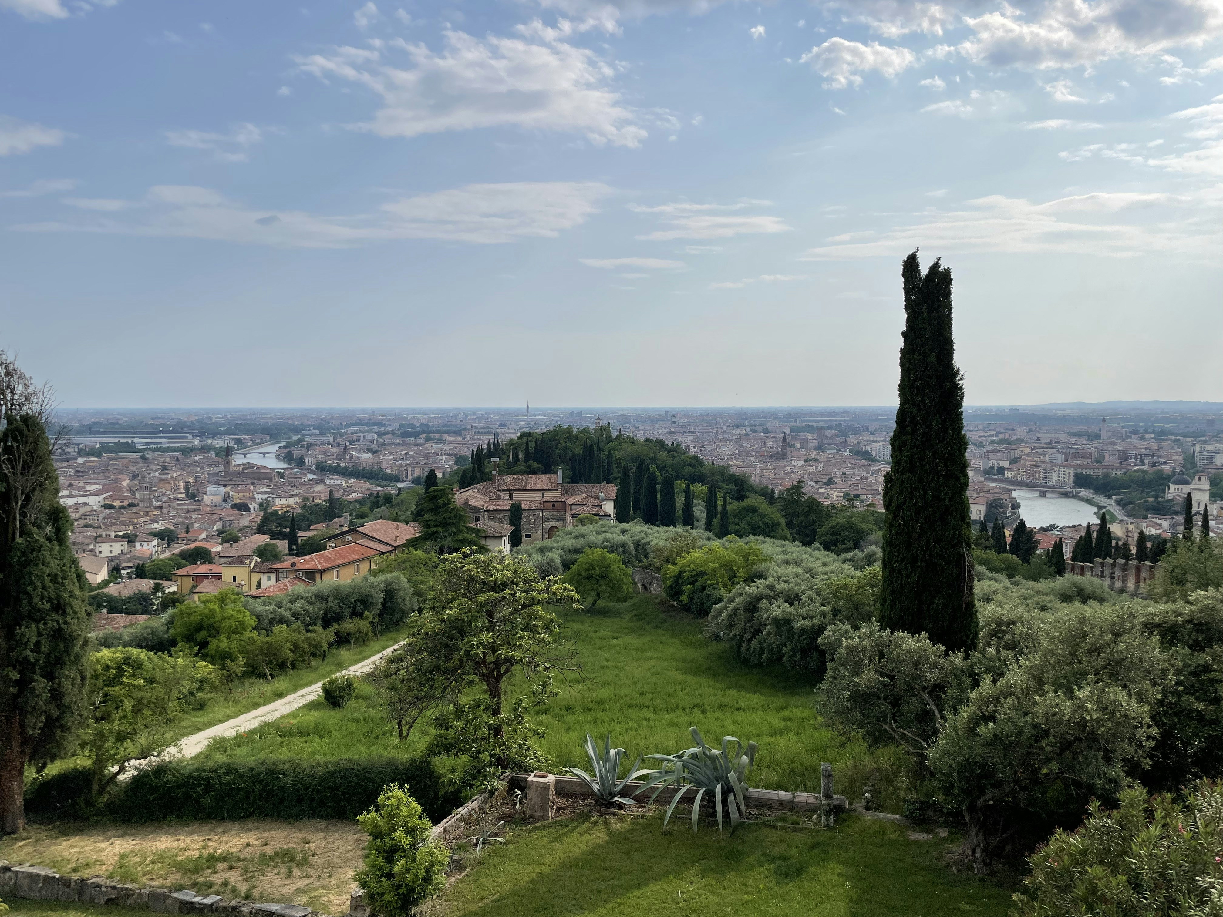 Photo by Michael Martinelli with Apple iPhone 12 Pro