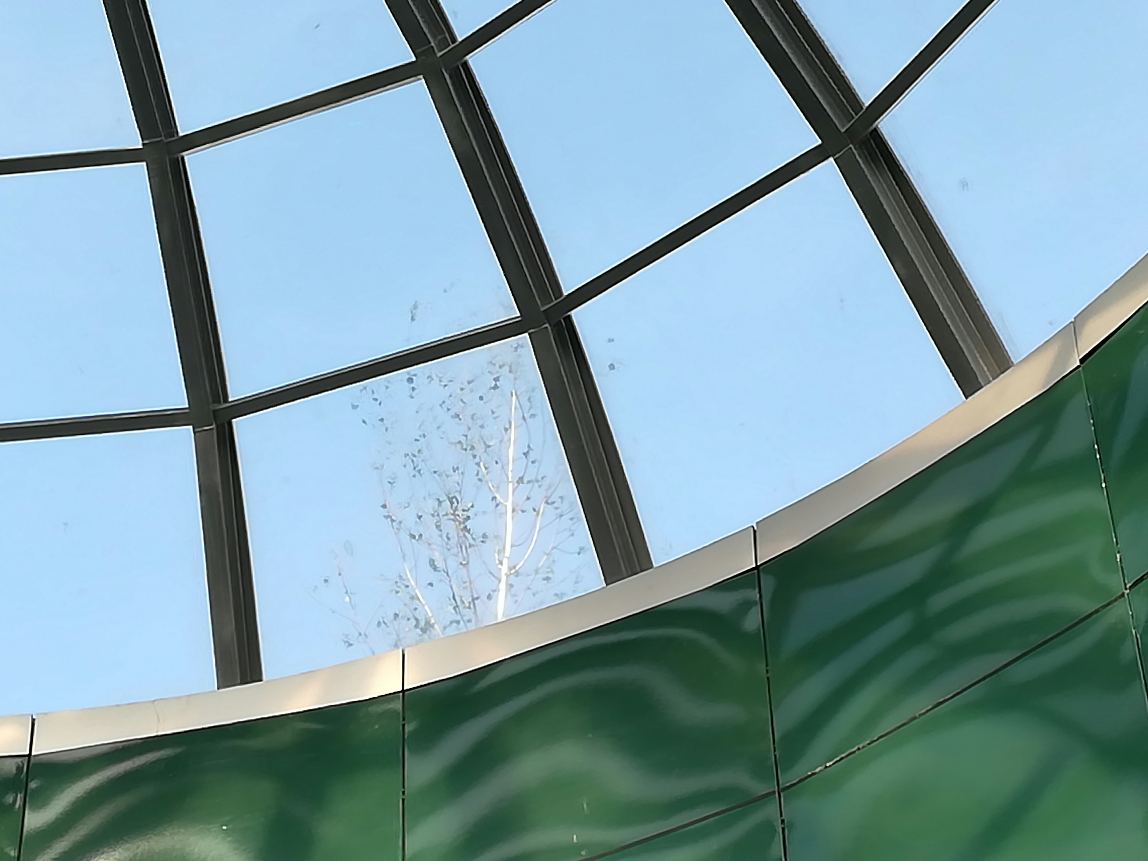 Curved green wall panels meet a black metal grid ceiling that frames a blue sky through glass. The shot highlights architectural geometry and play of light on the smooth surface.