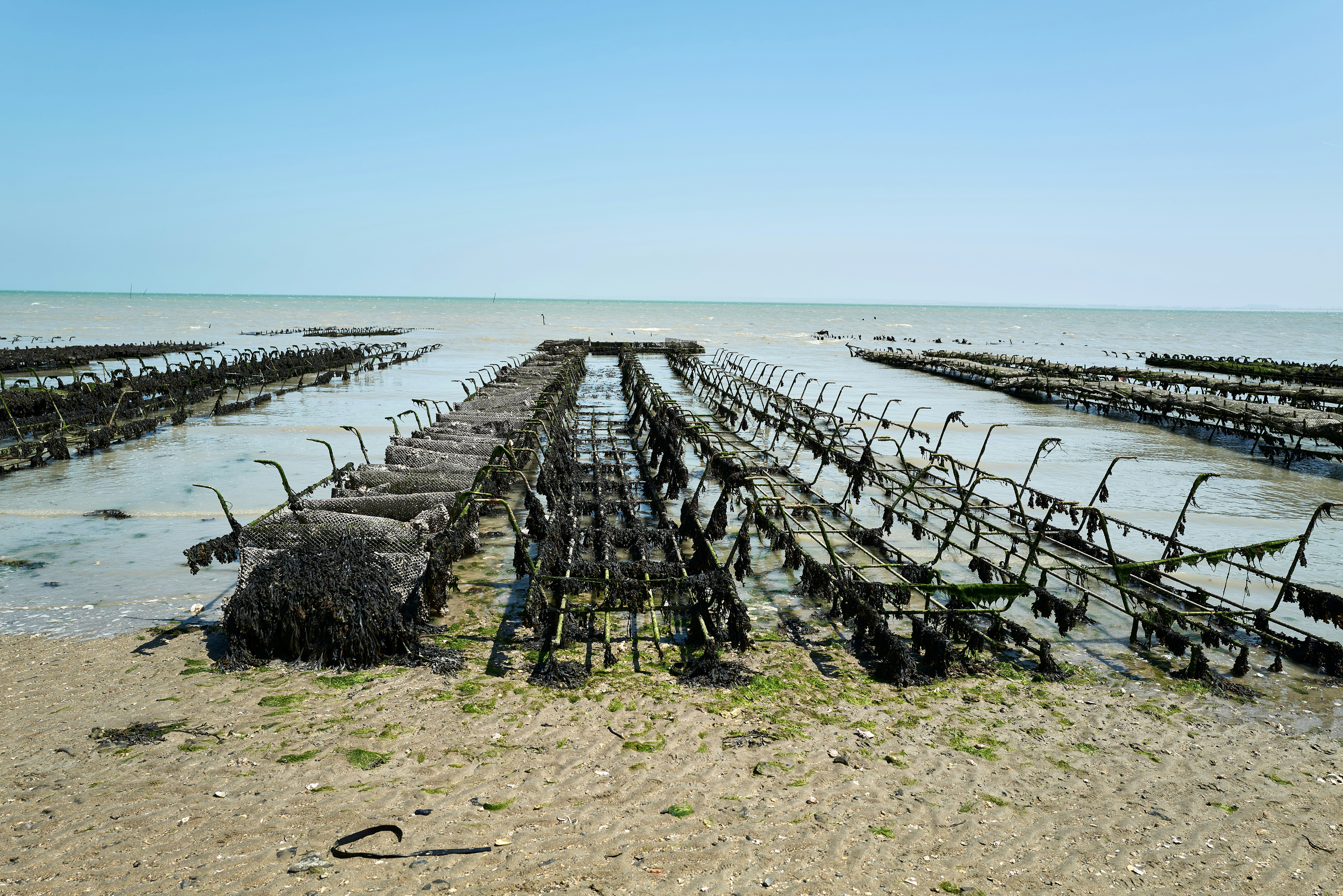 A large number of fishing nets in the water photo – Free Blue sky Image ...