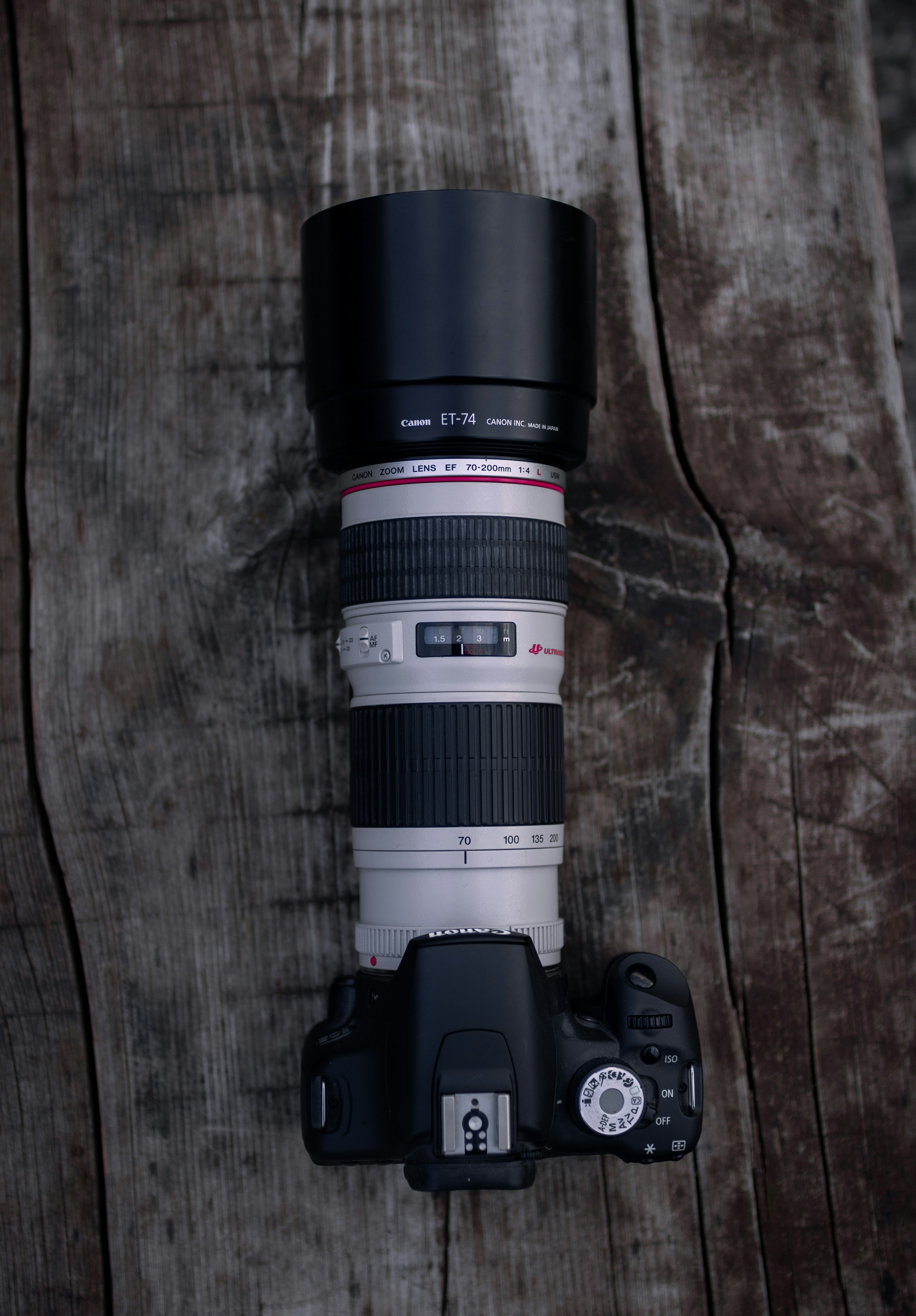 Canon EOS 80D camera with a telephoto lens resting on a rustic wooden surface. Perfectly showcases the gear essential for capturing distant subjects.