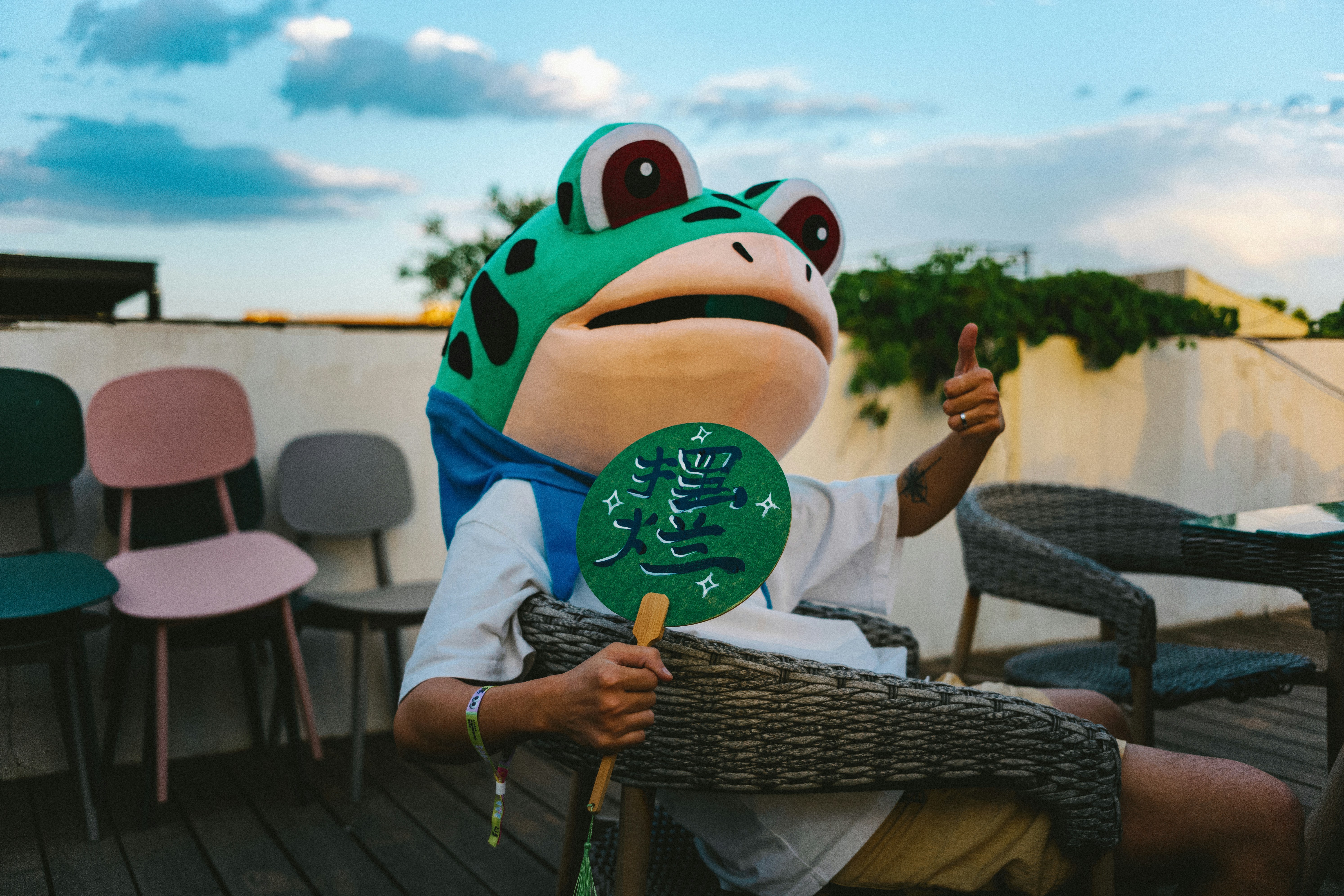A person sitting on a chair with a frog mask on photo – Free Portrait ...
