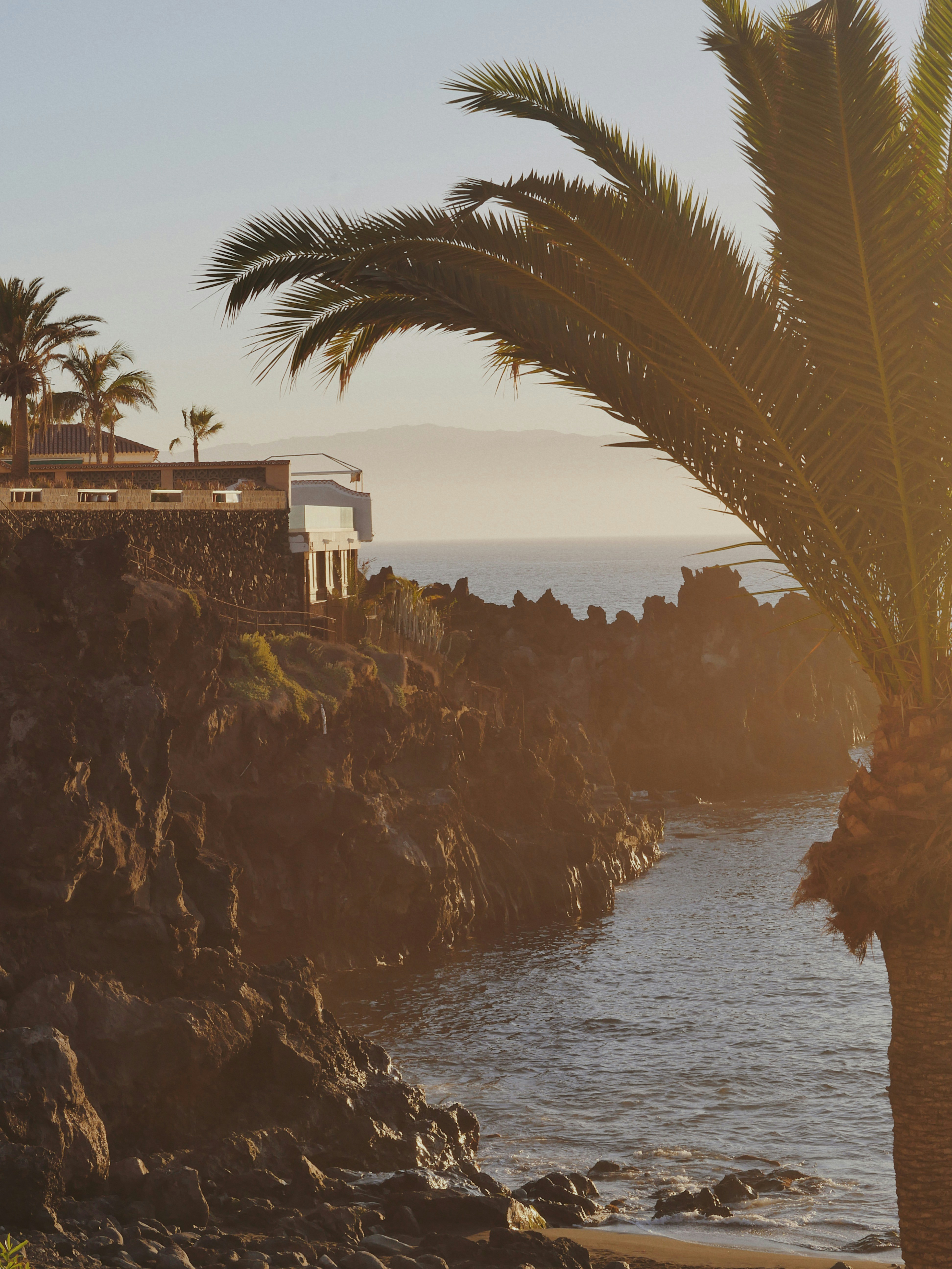 Palm Fronds over a Cliffside Cove at Golden Hour