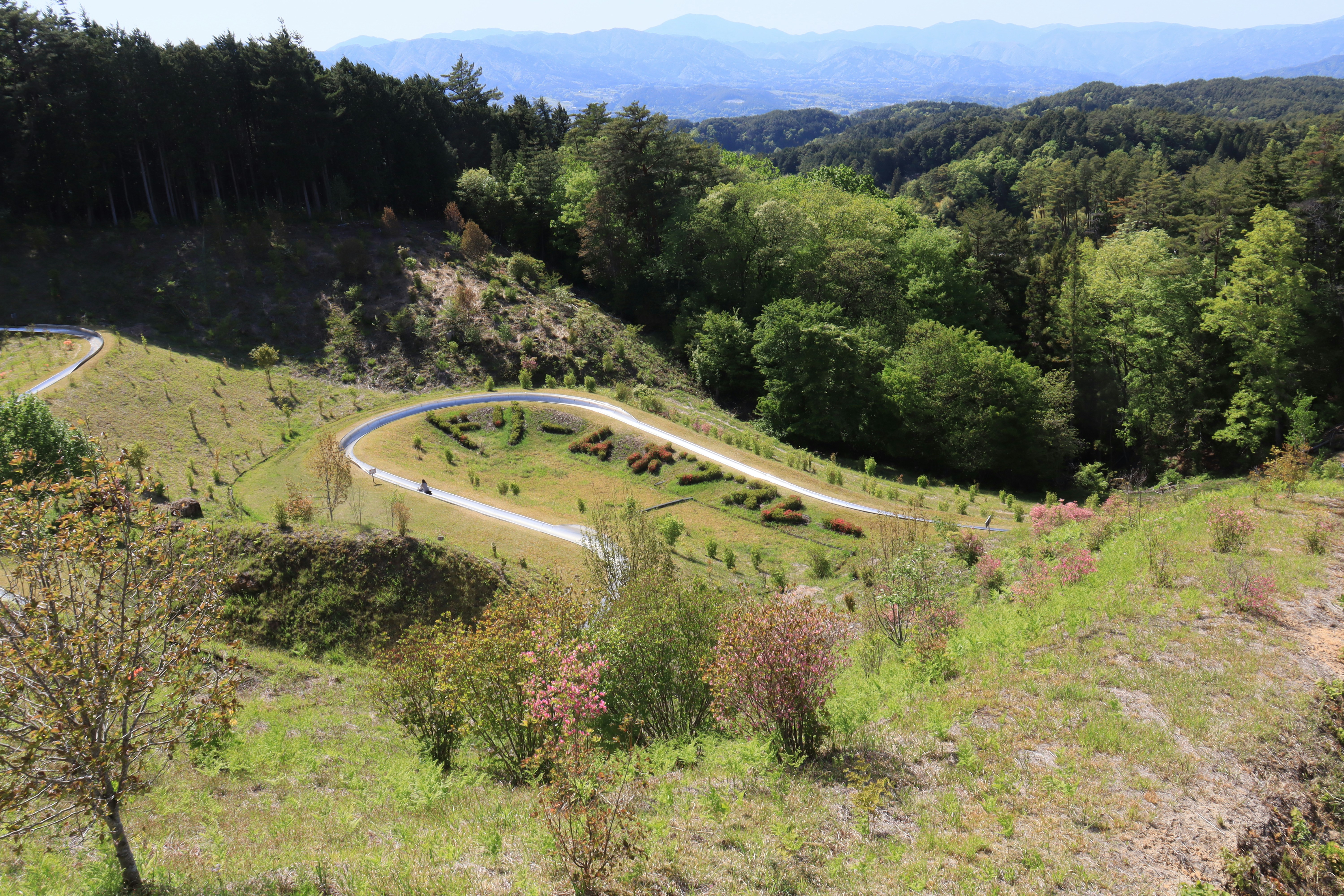 Hairpin Echoes: A Quiet Descent Through Spring Hills