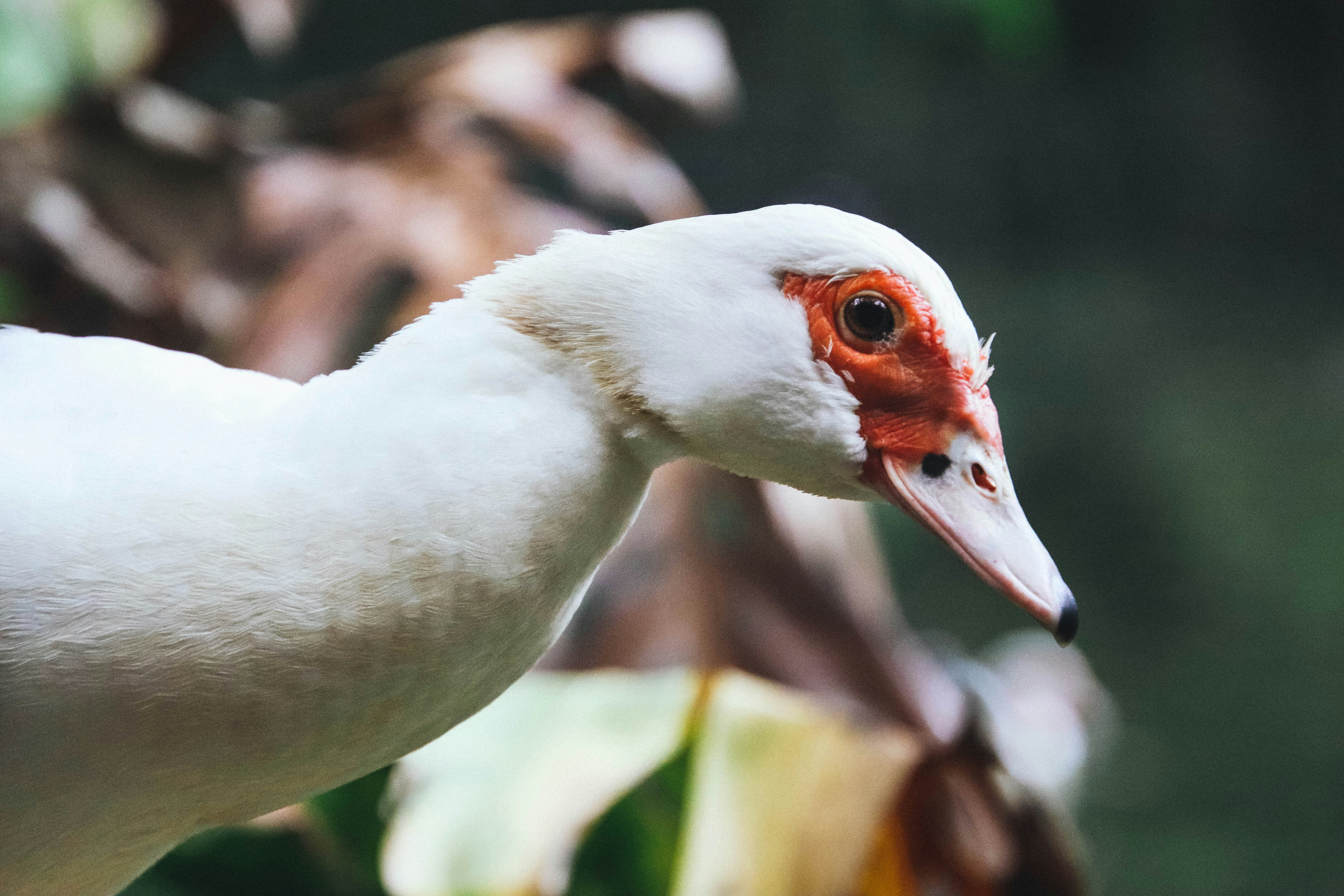 Photo by SLNC with Canon EOS 77D