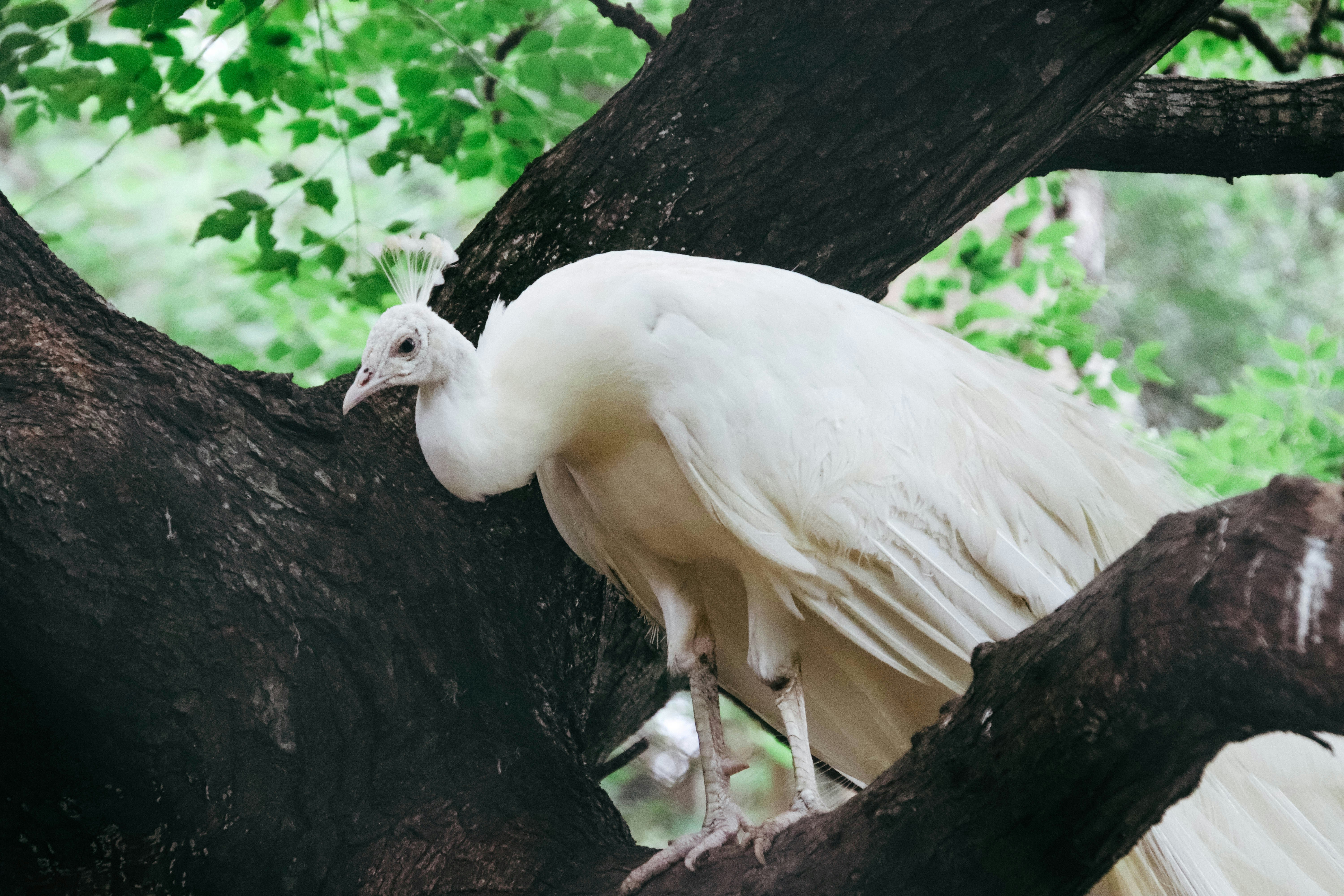 Photo by SLNC with Canon EOS 77D