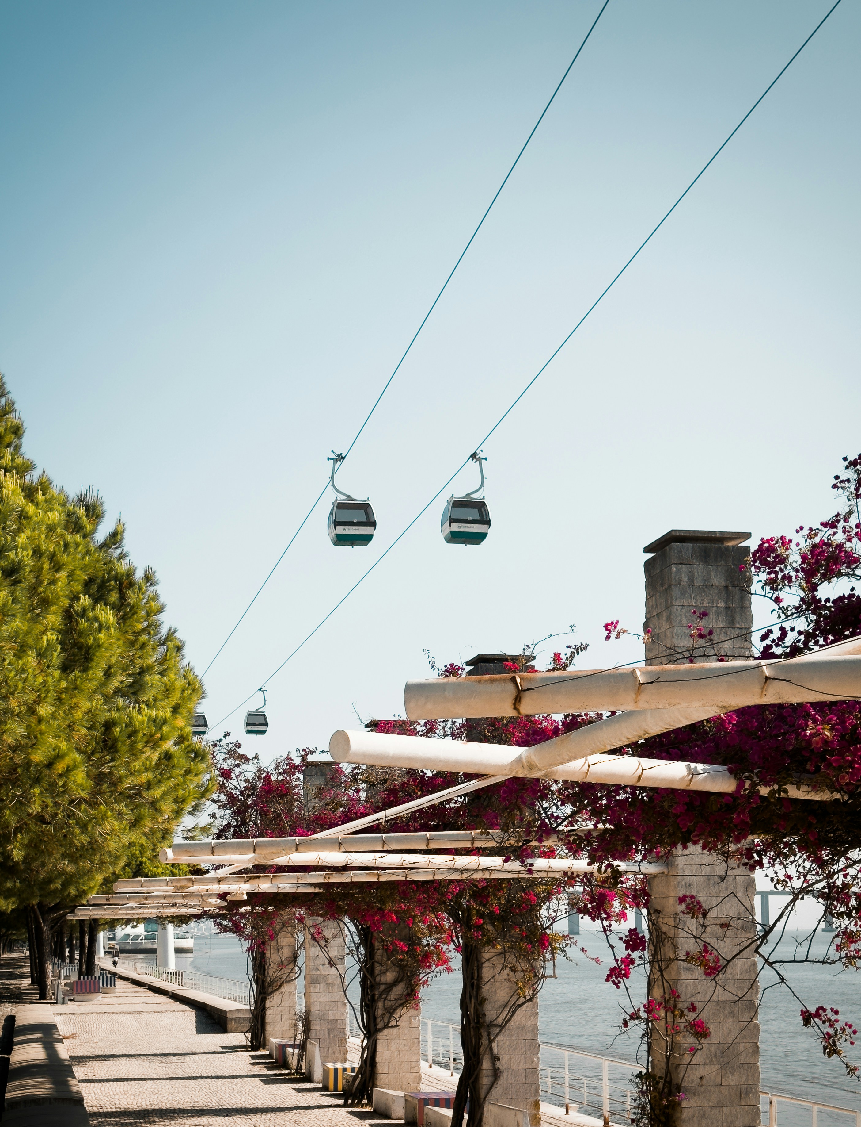 Cable Cars Over a Seaside Path