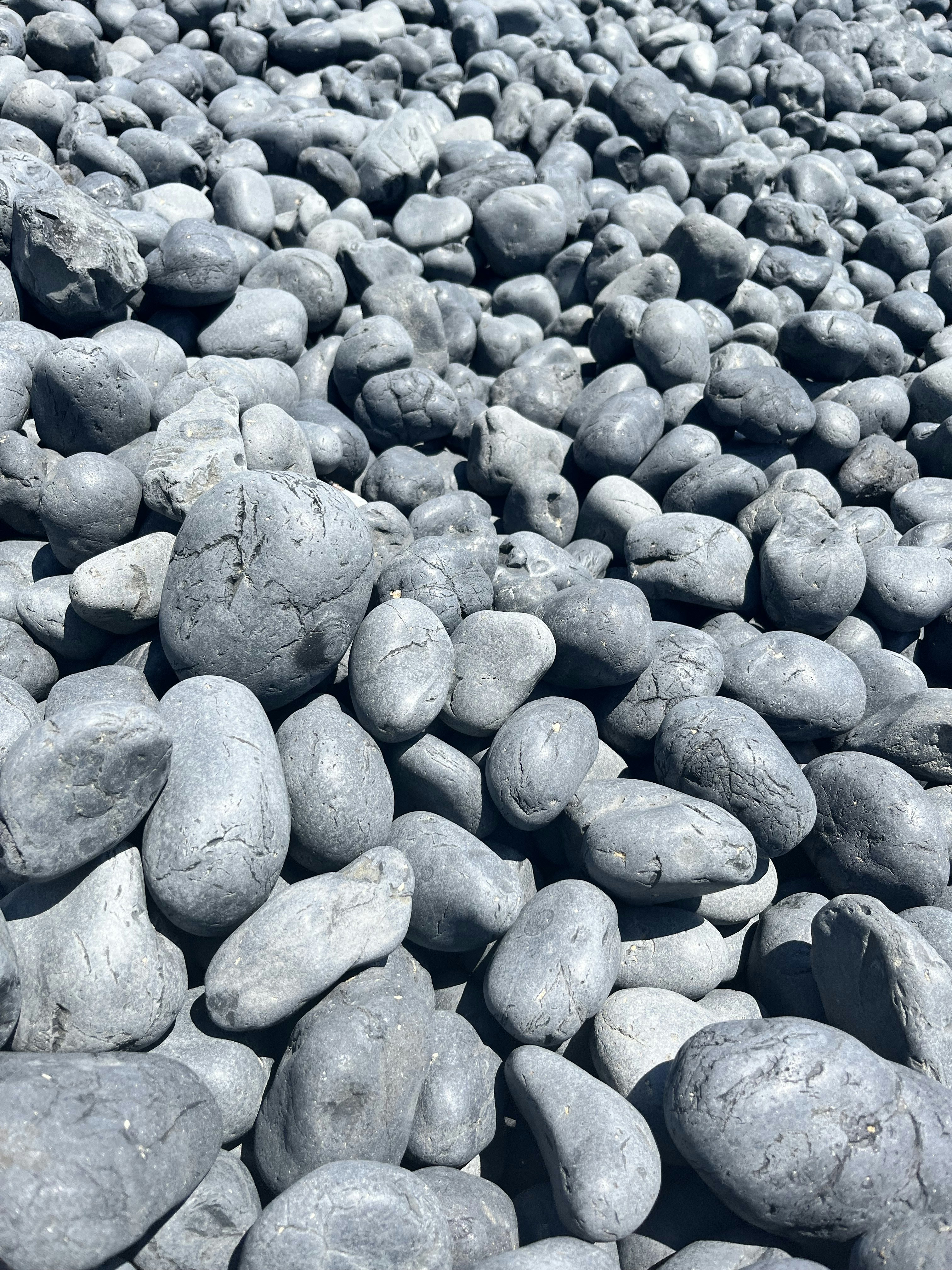 A bunch of rocks that are laying on the ground photo – Free Cobble ...
