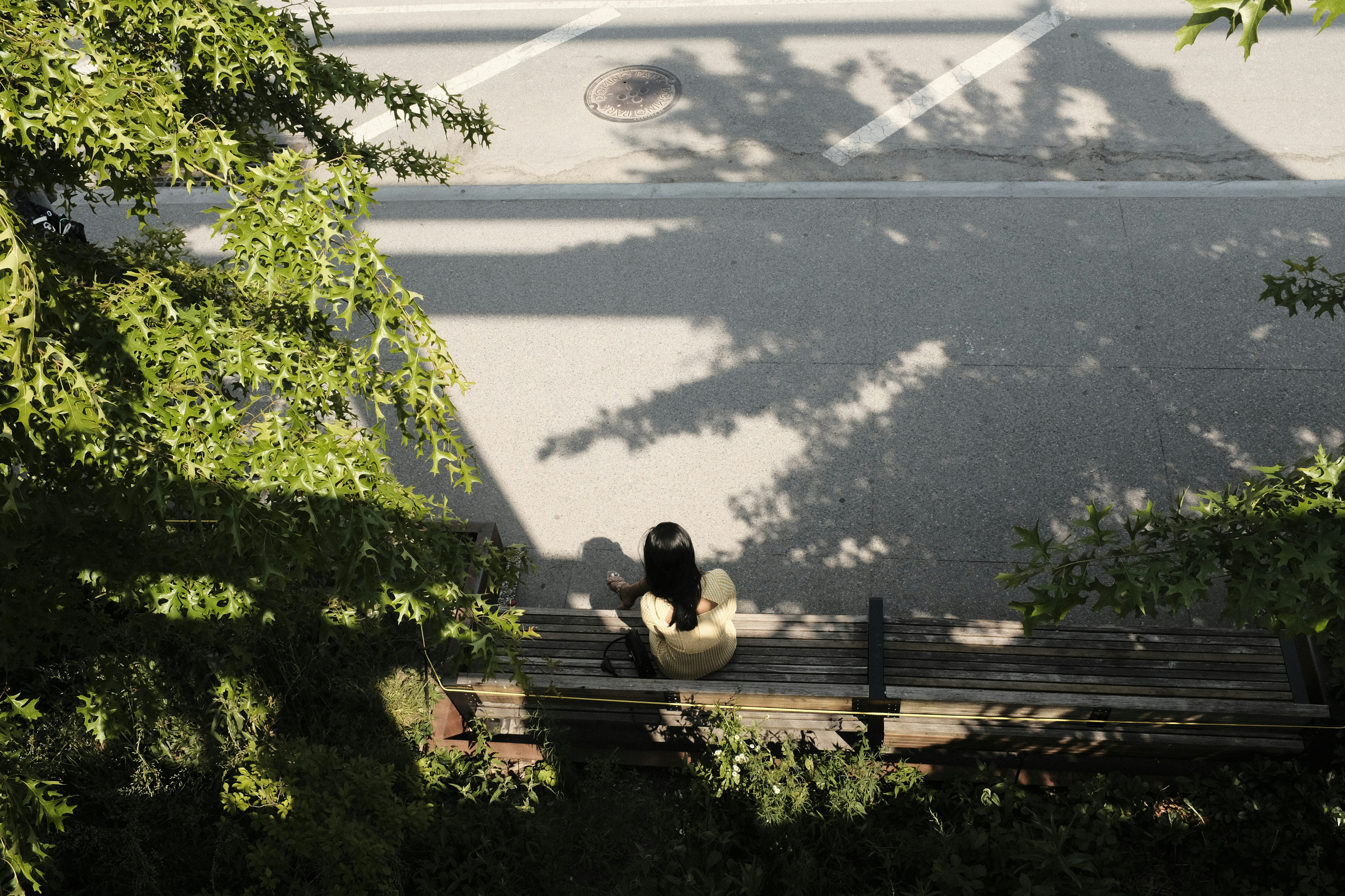 Dappled Light and Quiet Pause on a Park Bench