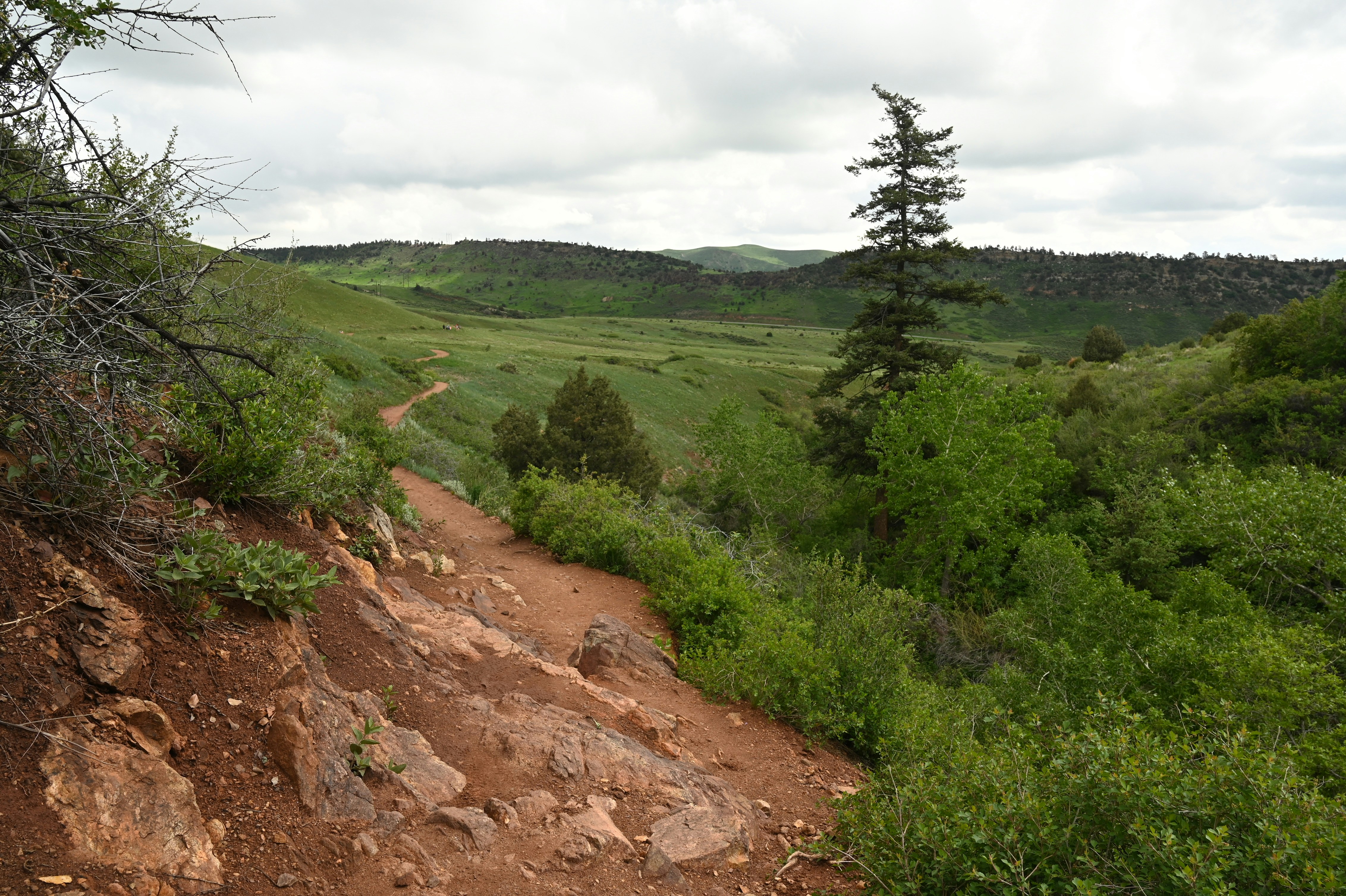 Rugged Canyon Path: A Winding Dirt Trail Through Sagebrush and Distant Hills