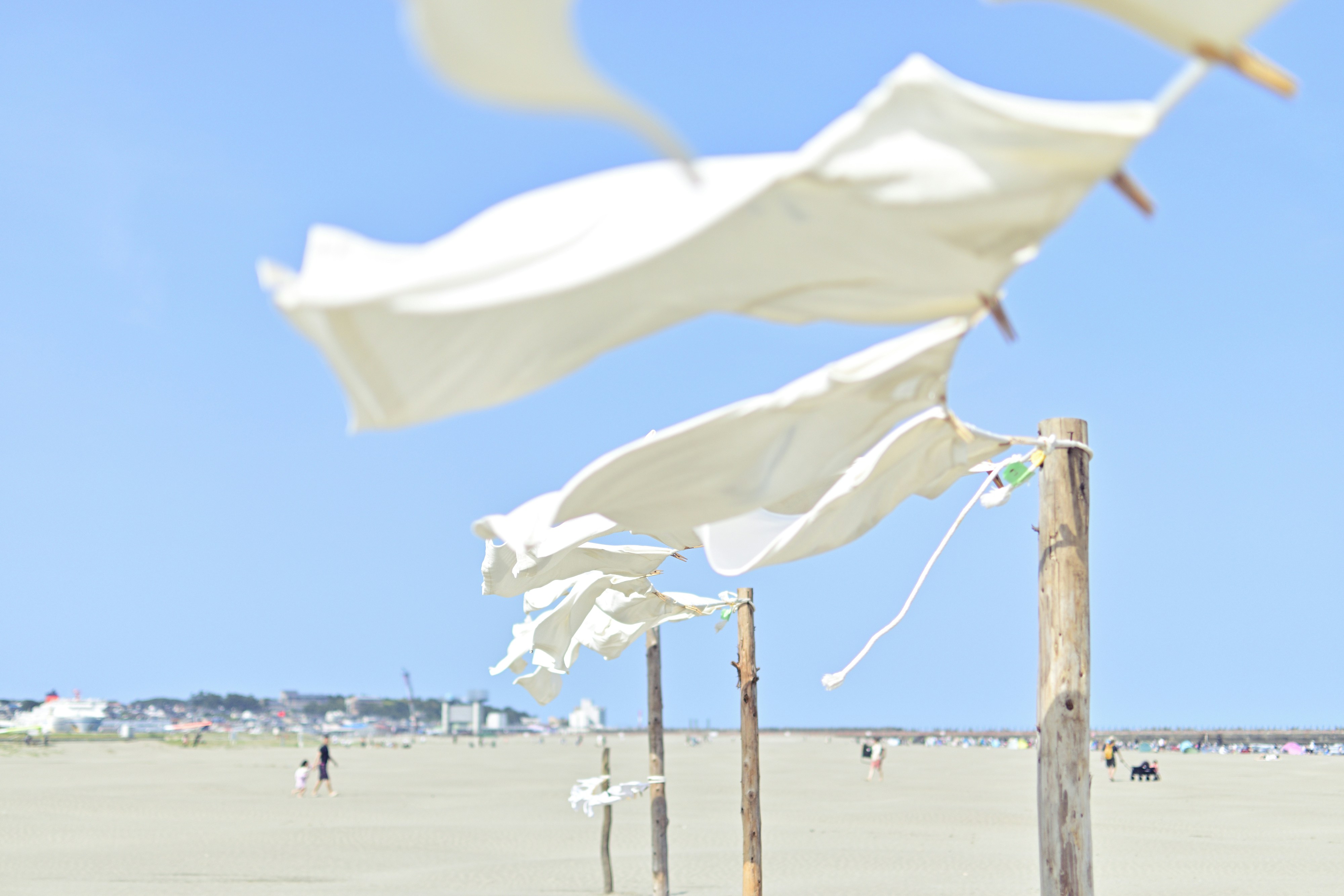 A beach with a lot of white flags on it photo – Free Oarai Image on ...