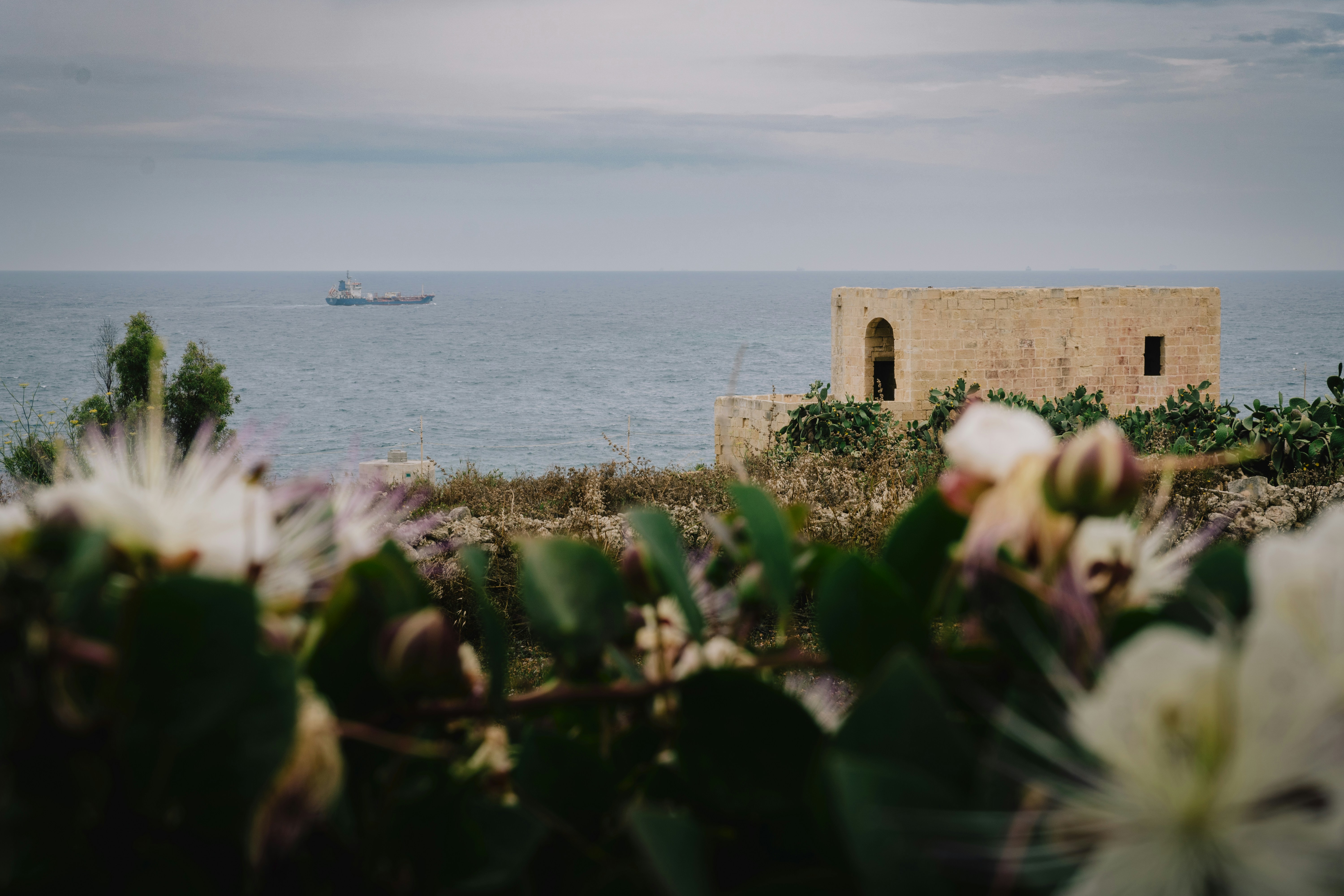 A Sea-Watch Bastion Framed by Spring Blooms