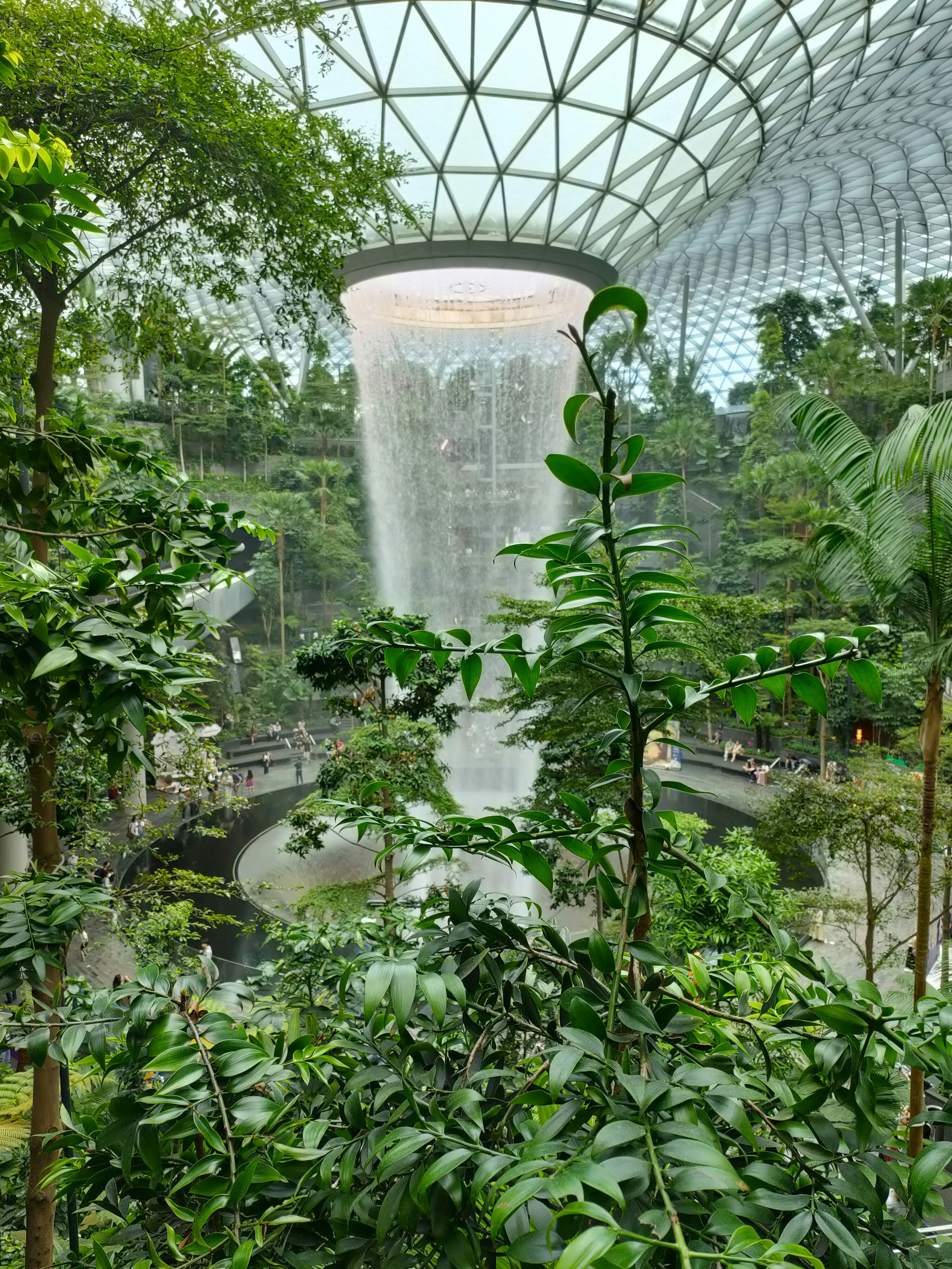 Glass-Dome Oasis: Central Cascade in a Verdant Conservatory