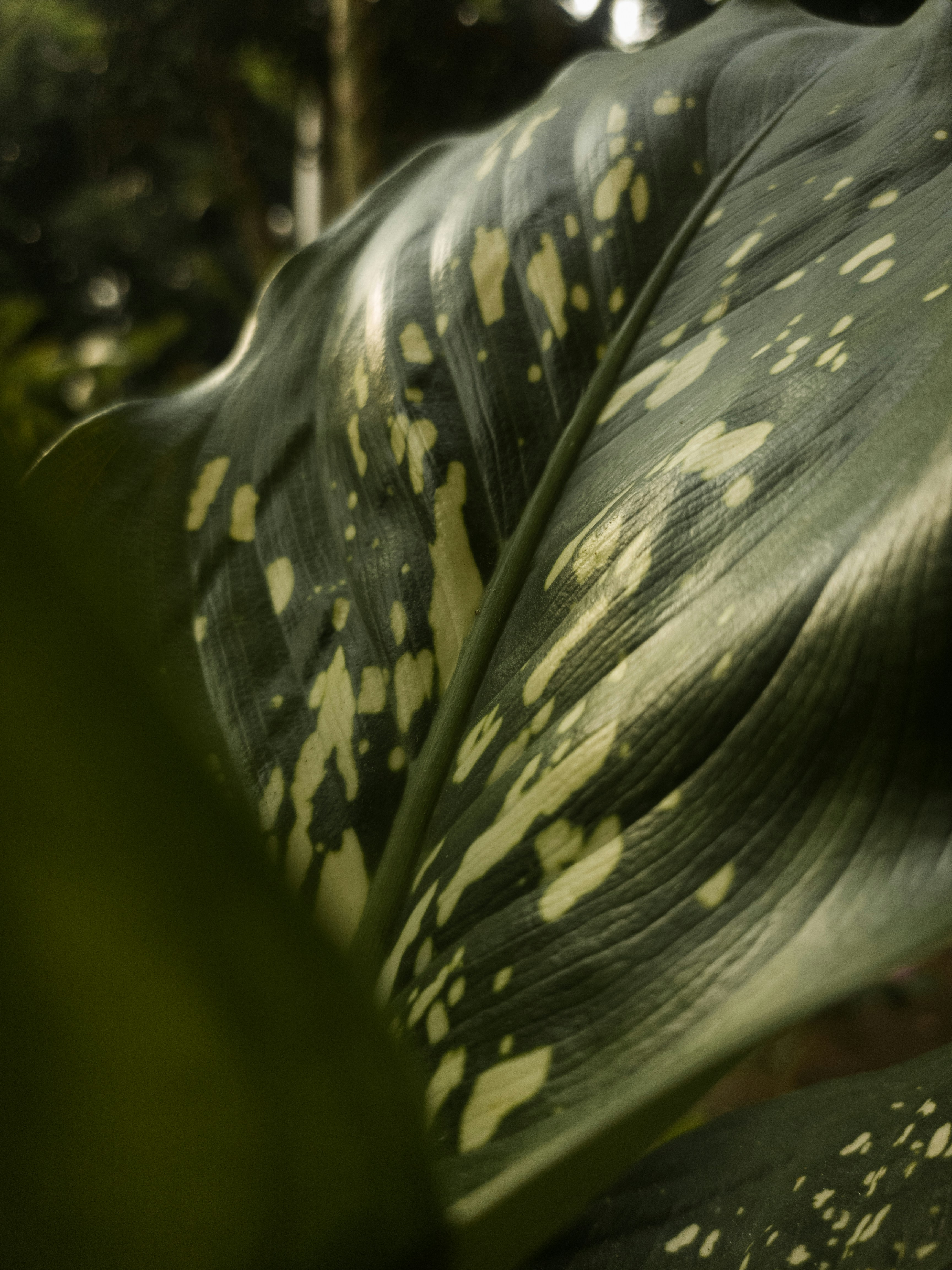 Photo by prathyush with Xiaomi Redmi Note 10S