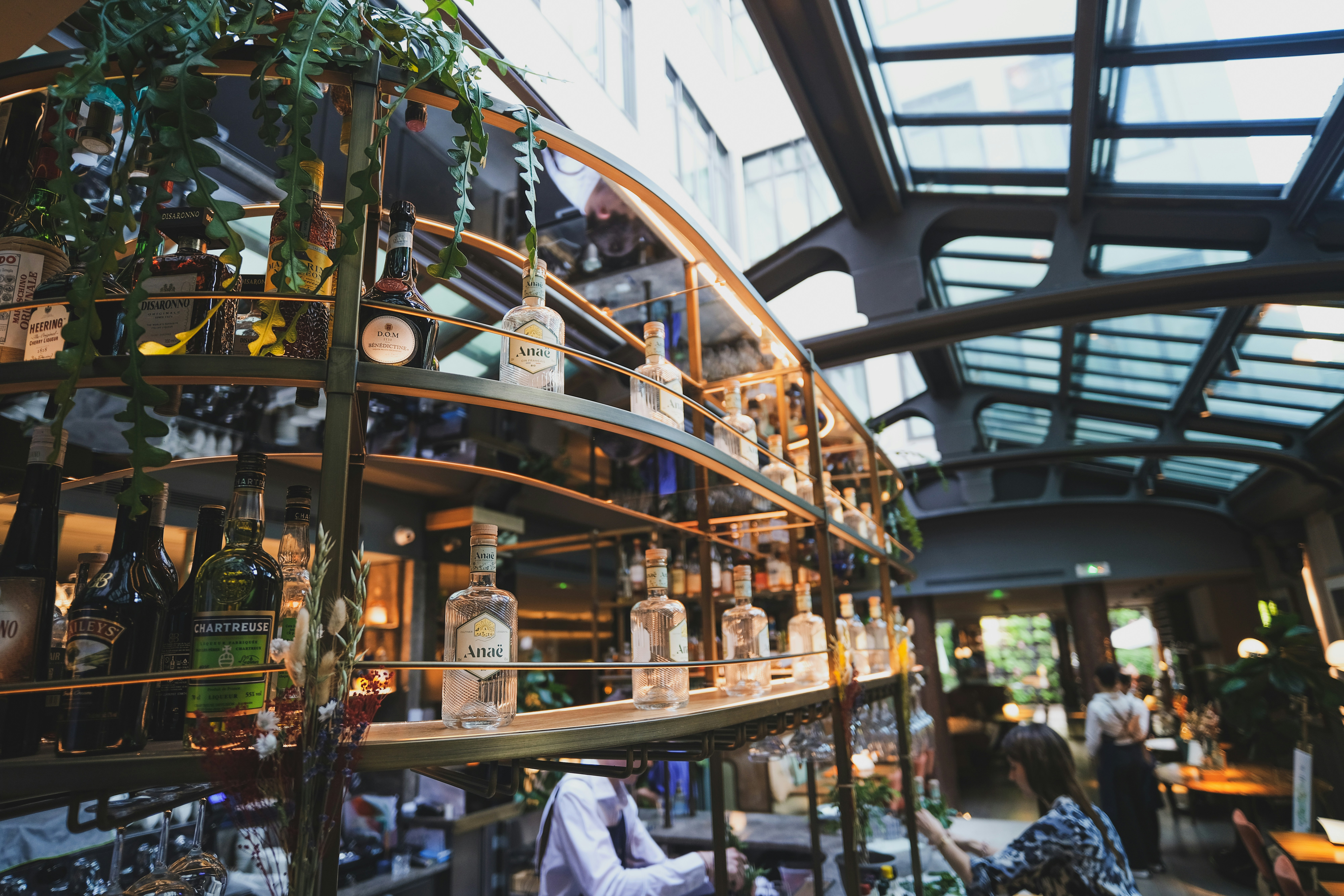 Glasshouse Bar: Bottles on Arching Shelves in a Sunlit Atrium