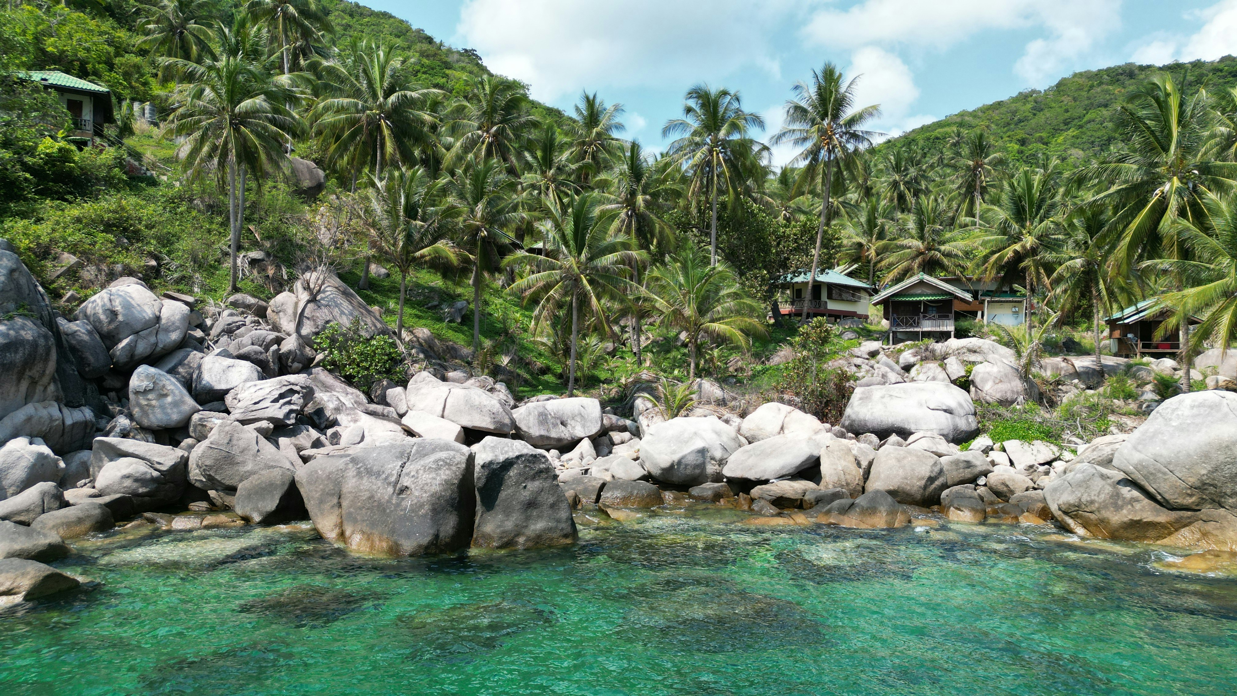 Tropical coastline with rocky shore and dense palm trees surrounding hillside houses.