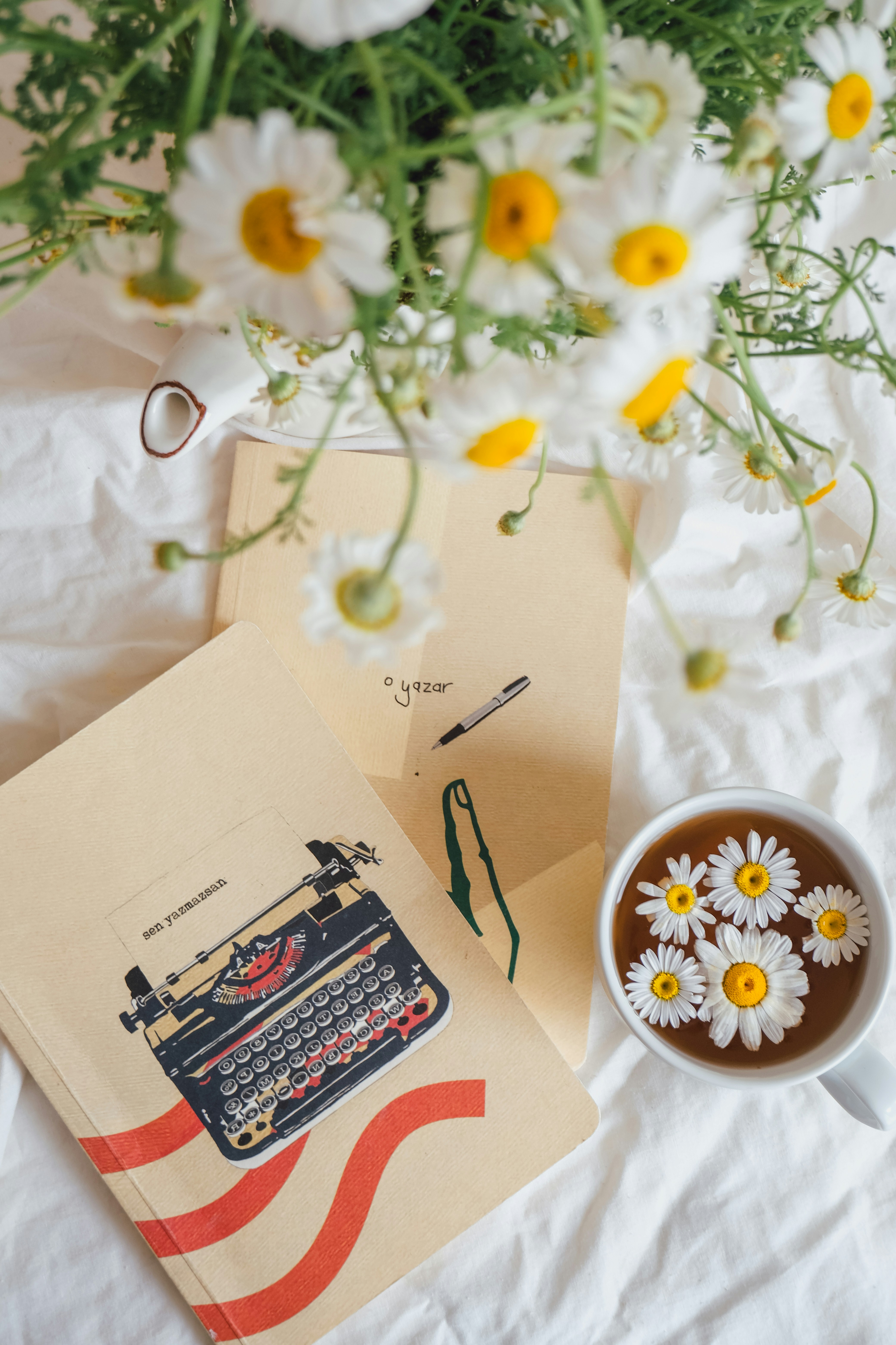 Daisy Still Life: A Gentle Morning Among Pages and Tea