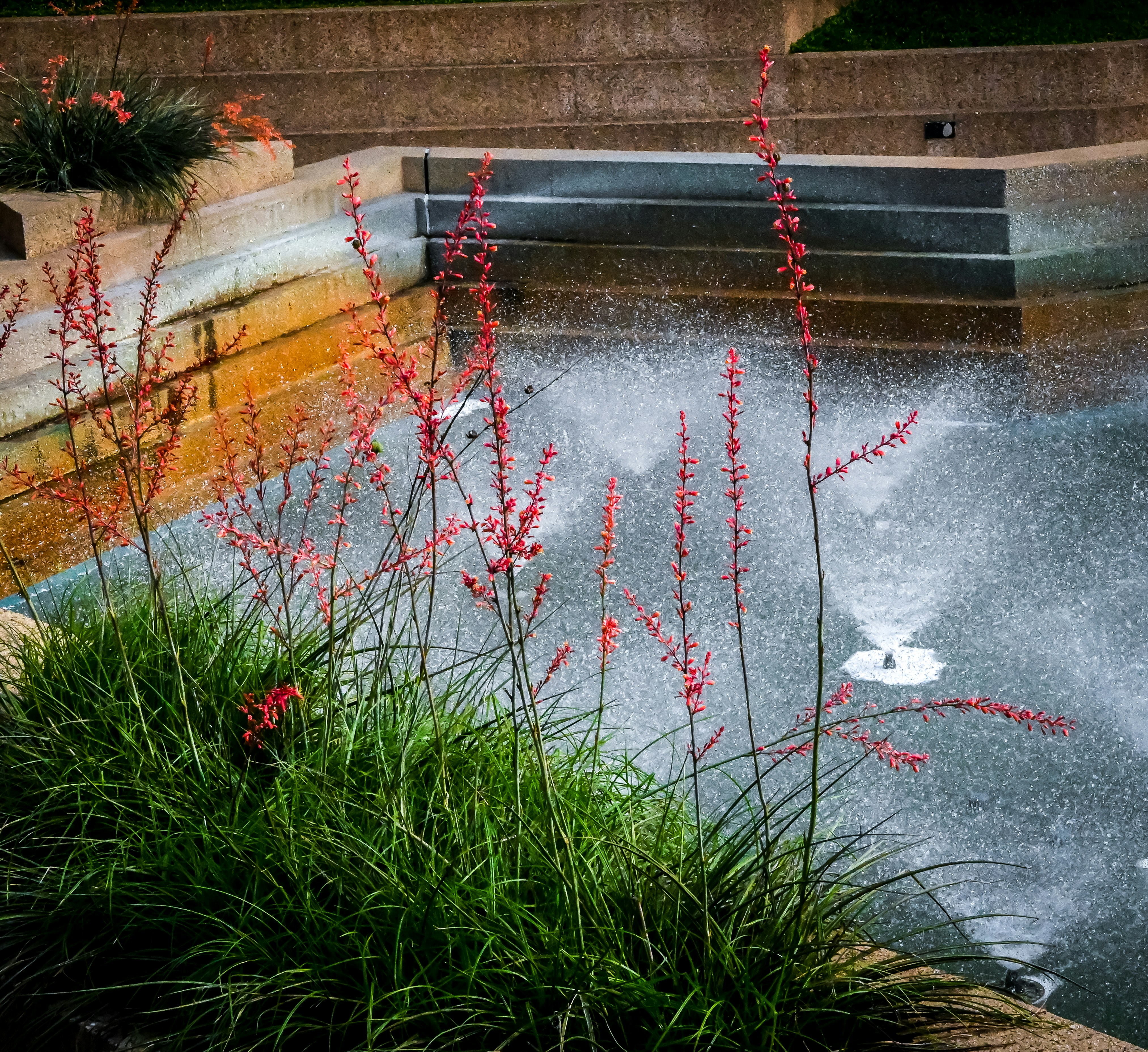 A fire hydrant spewing water into a pond photo – Free Fort worth water ...