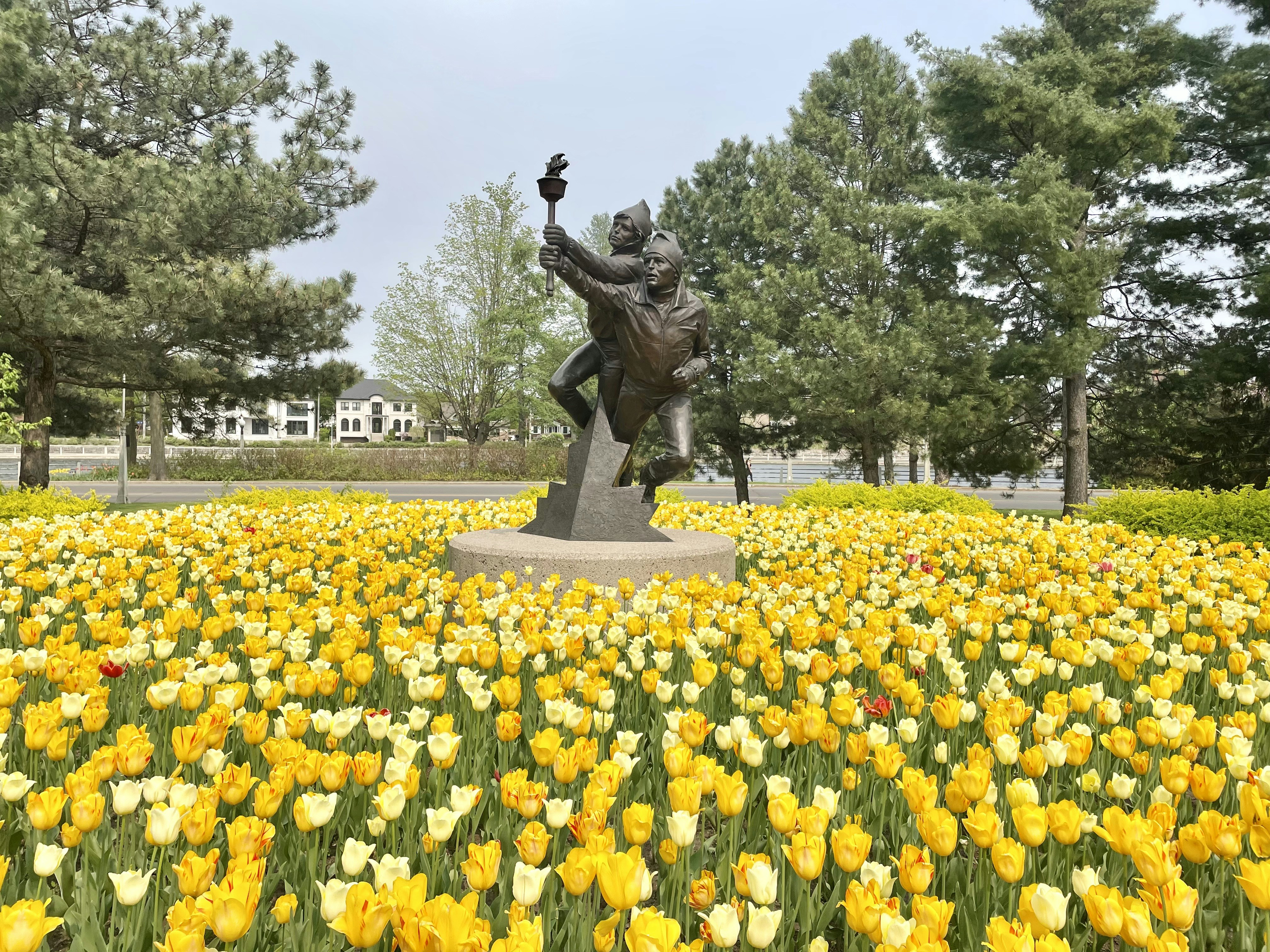 Bronze statue surrounded by a field of yellow and white tulips with lush trees in the background.
