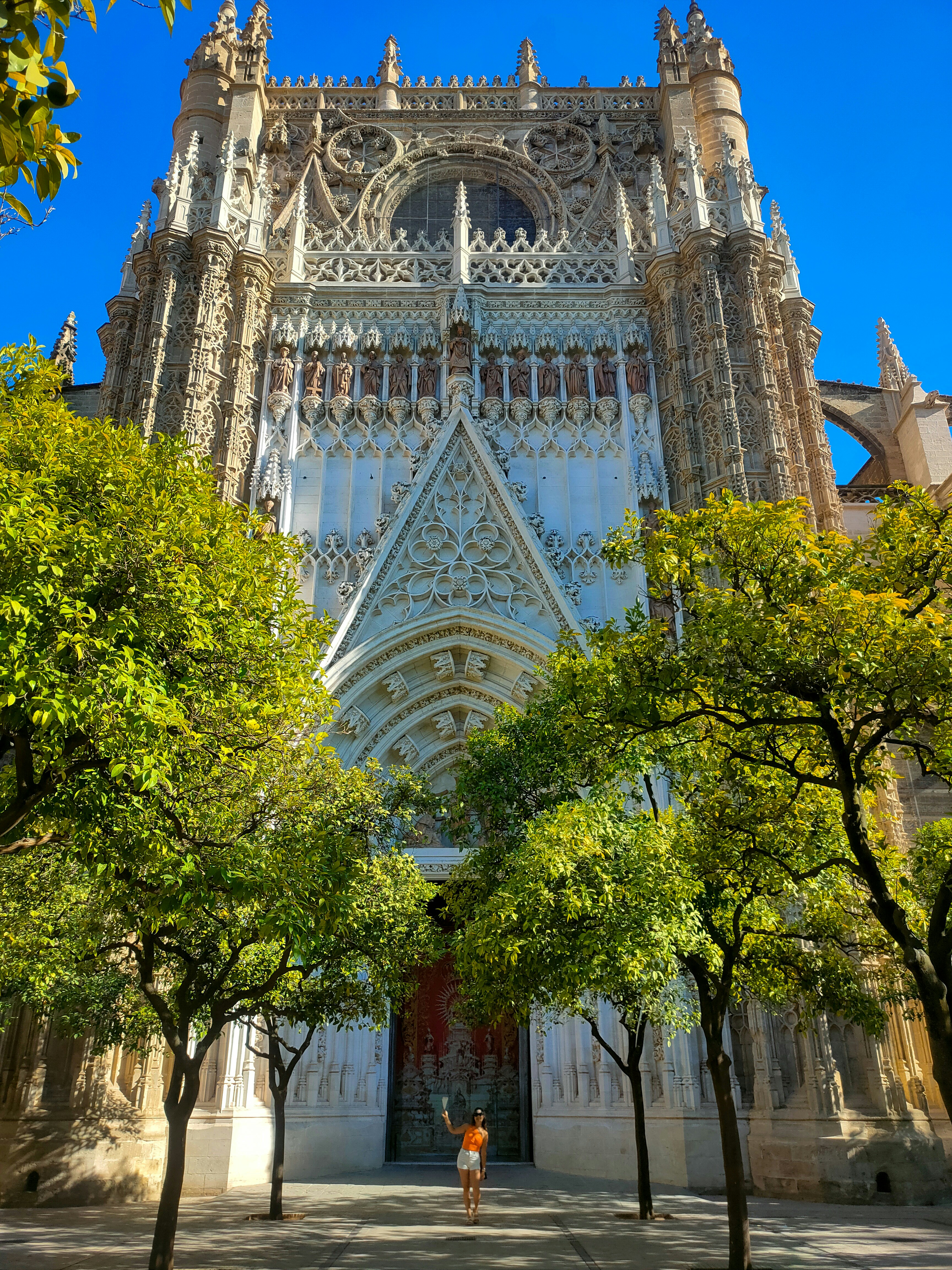 Gothic Facade Bloom: A Cathedral Tower Framed by Sunlit Trees