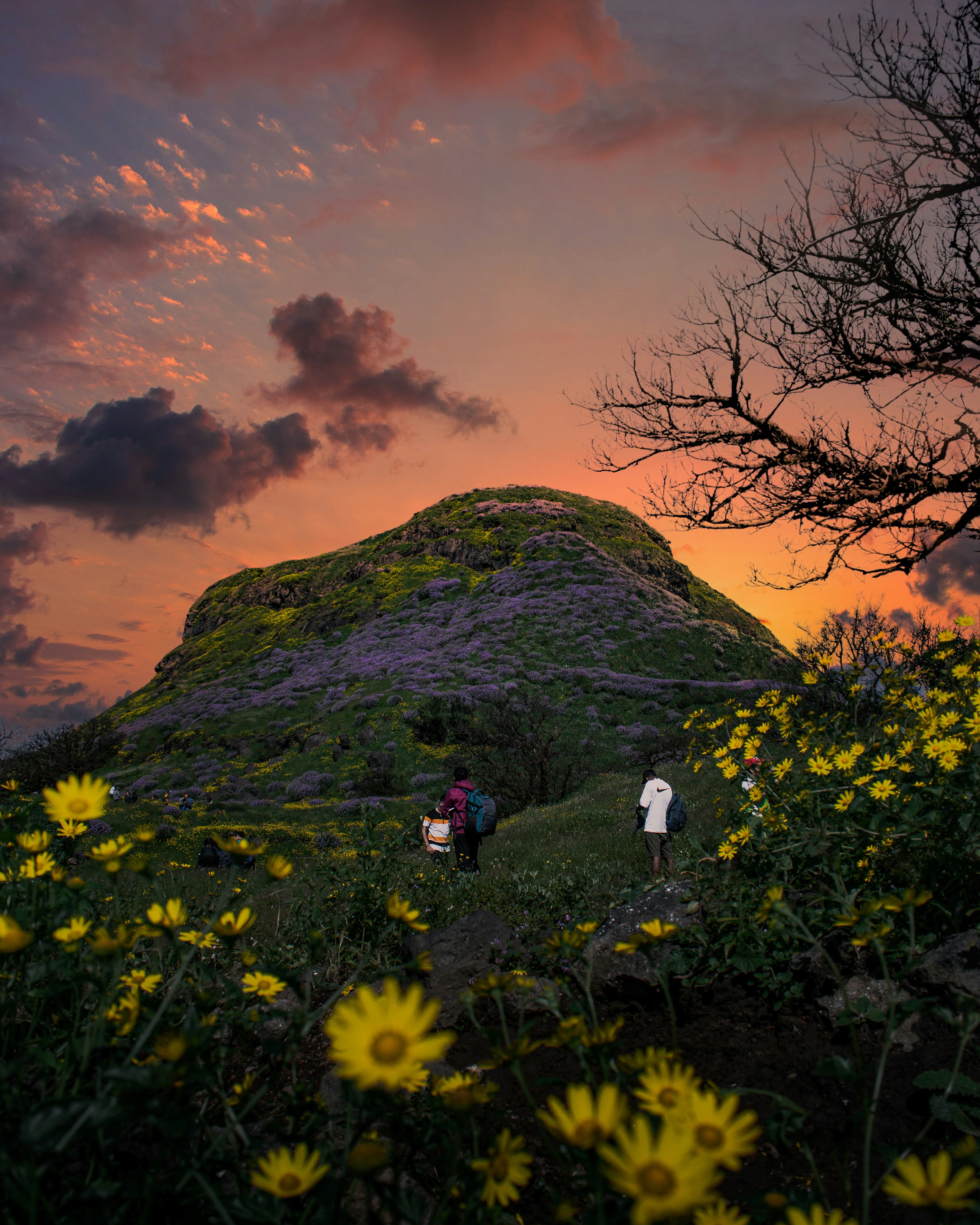 Un grupo de personas subiendo una colina al atardecer foto – Imagen de ...