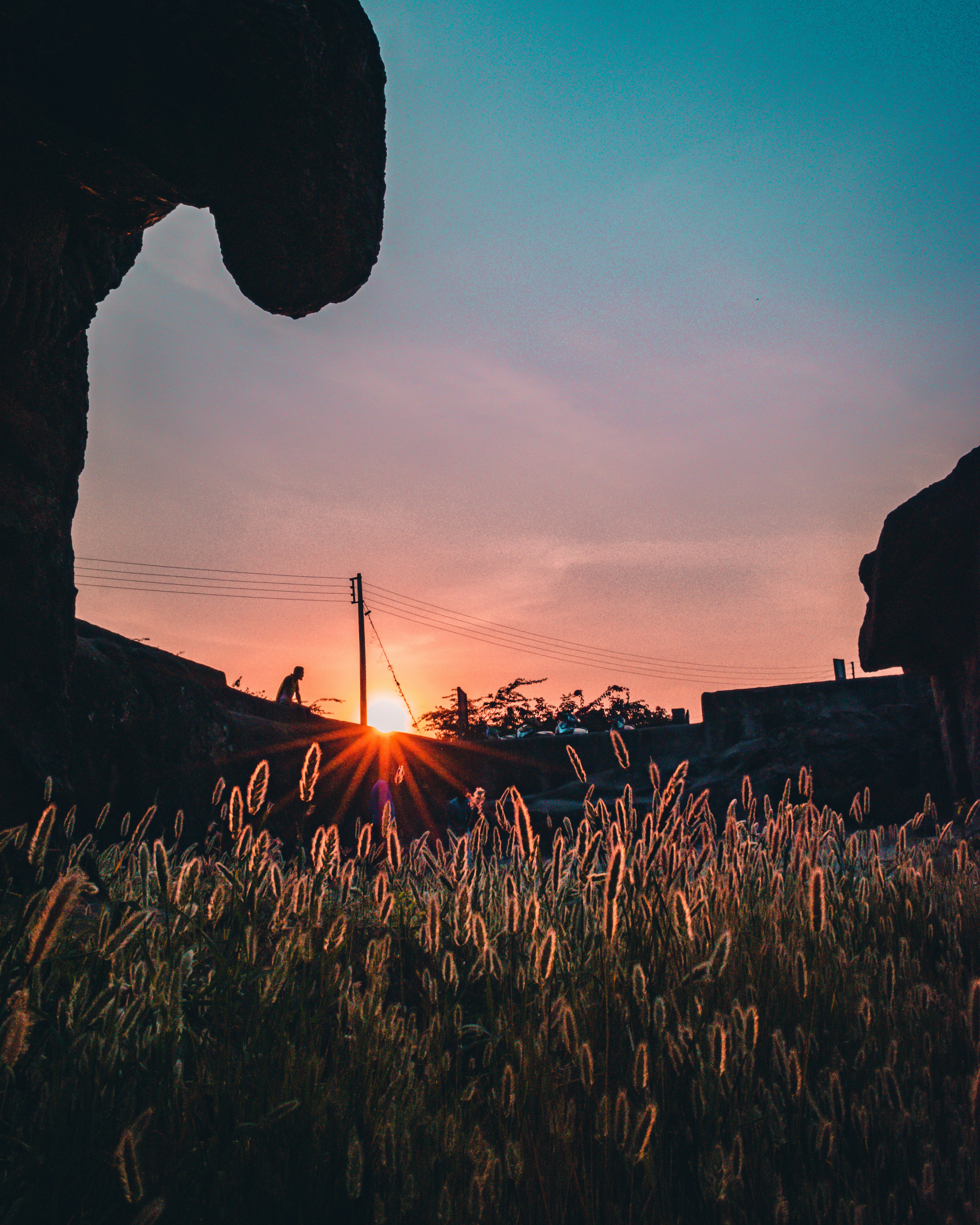 Sunset silhouette of a man with backlit flowers and a Sunstar.