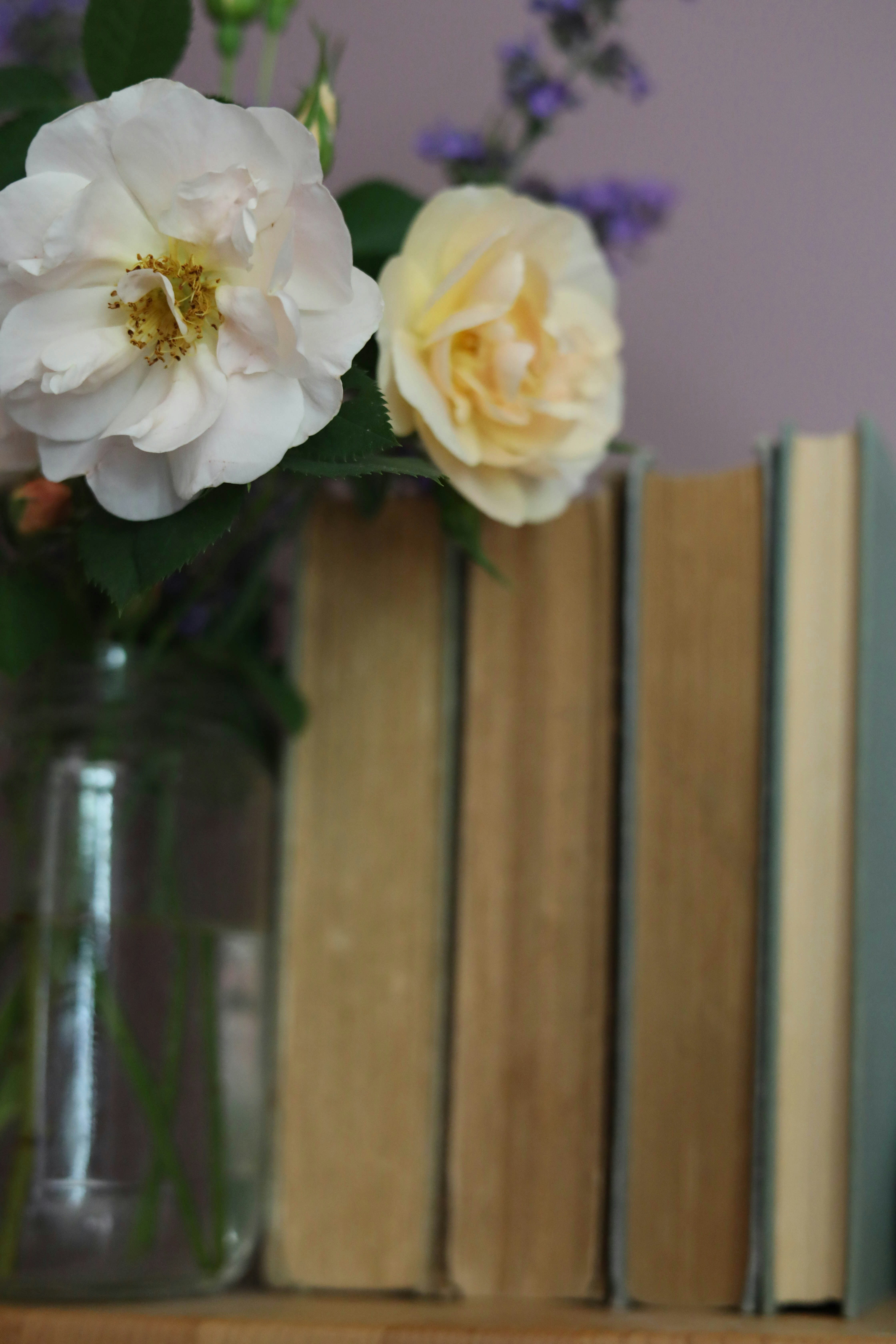 Petals at Rest: White Roses Framed by Weathered Books