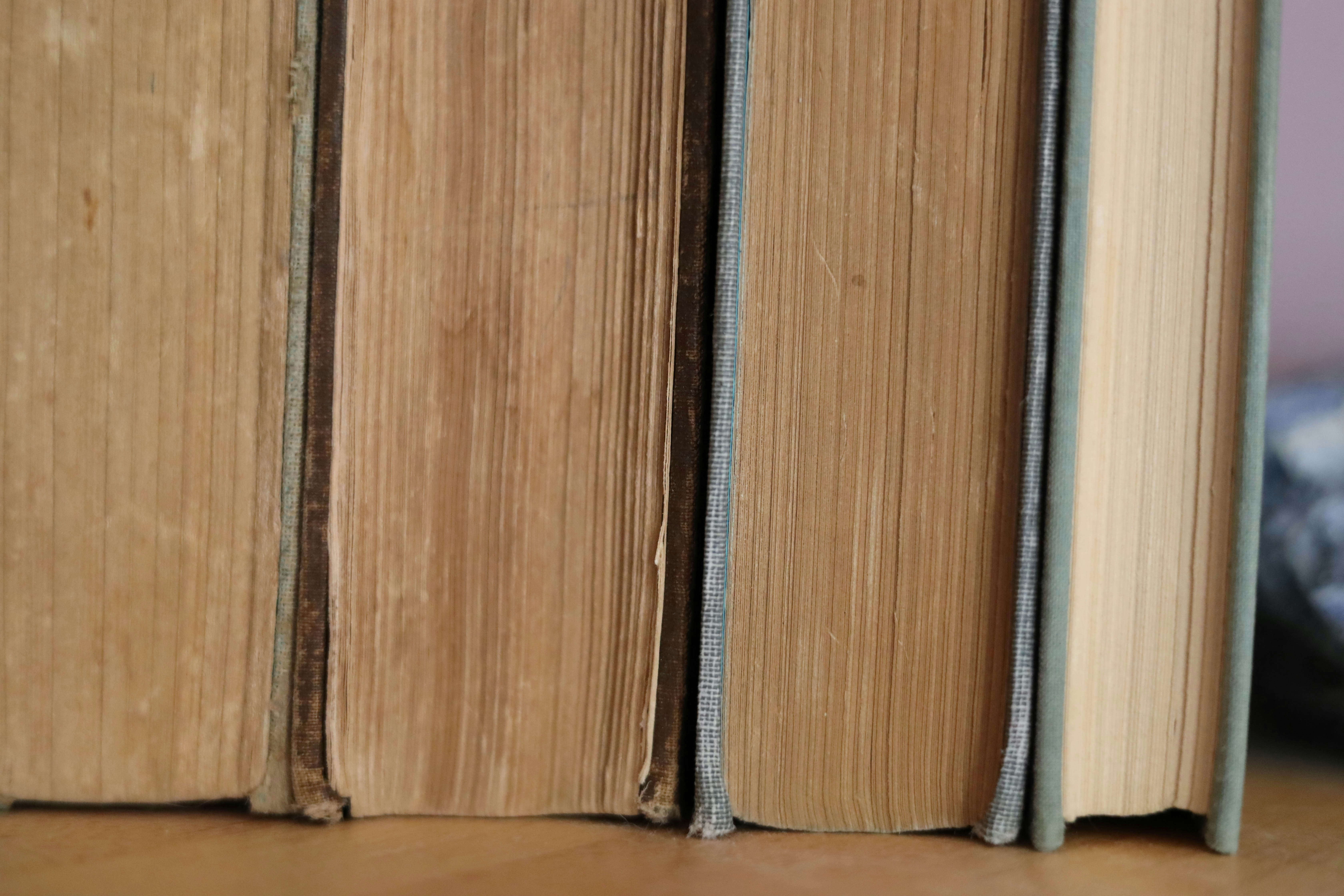 Bottom Edge Portrait: Close-Up of Warm Book Spines