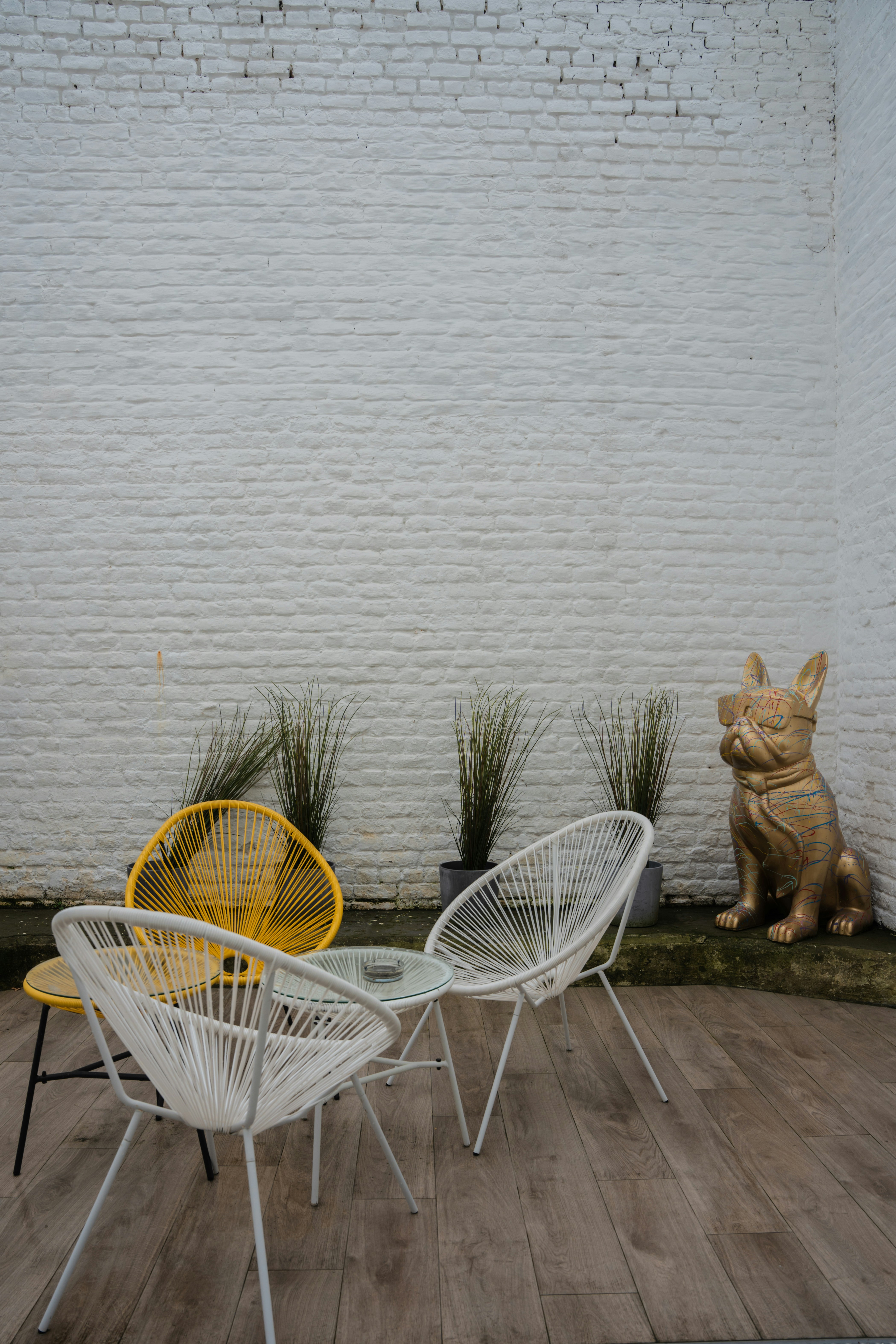 Golden Guardian by the White Wall: A Minimal Courtyard Scene with Rope Chairs