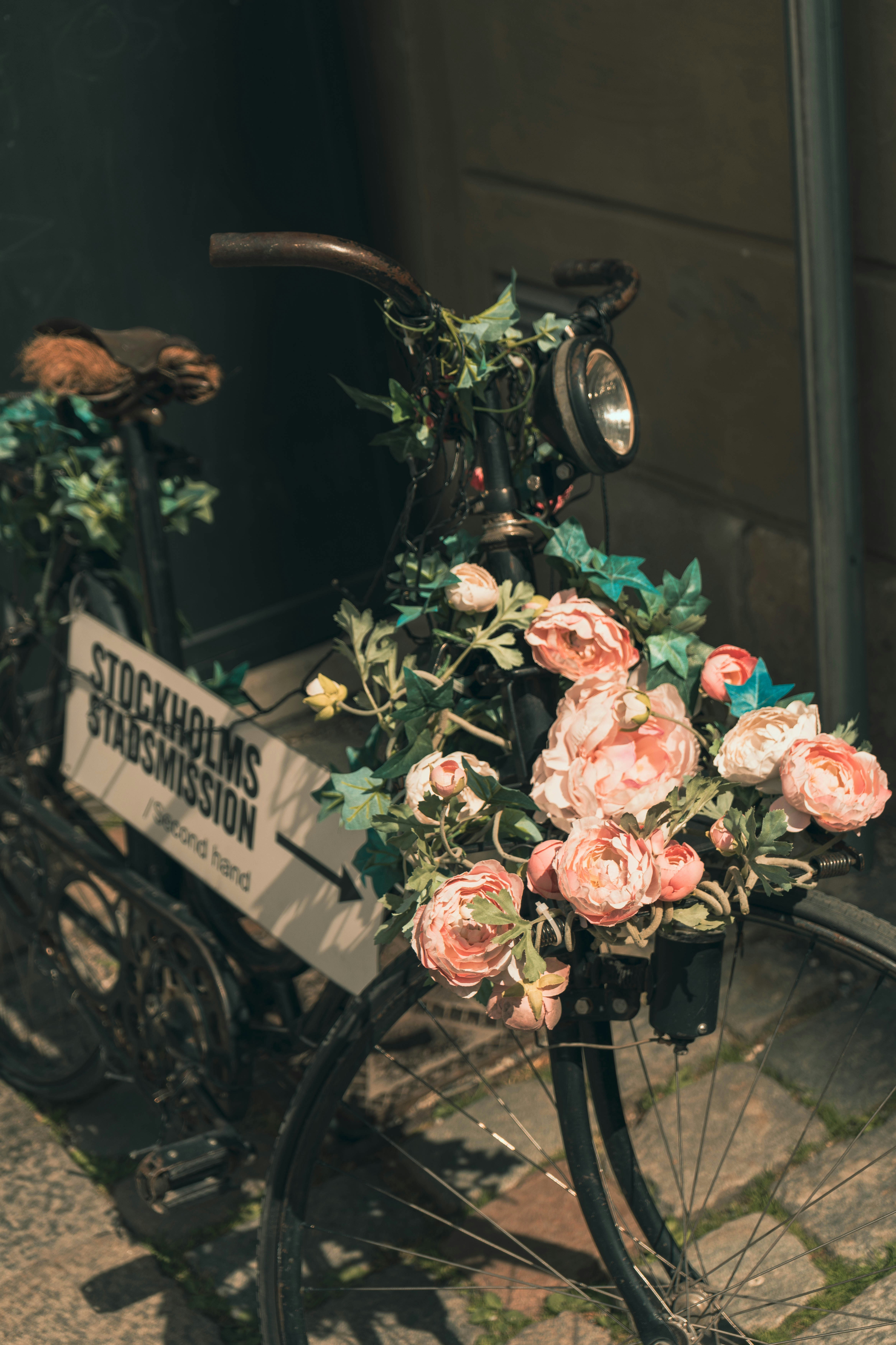 Petal-Piled Messenger: Roses in a Street-Side Bicycle Basket