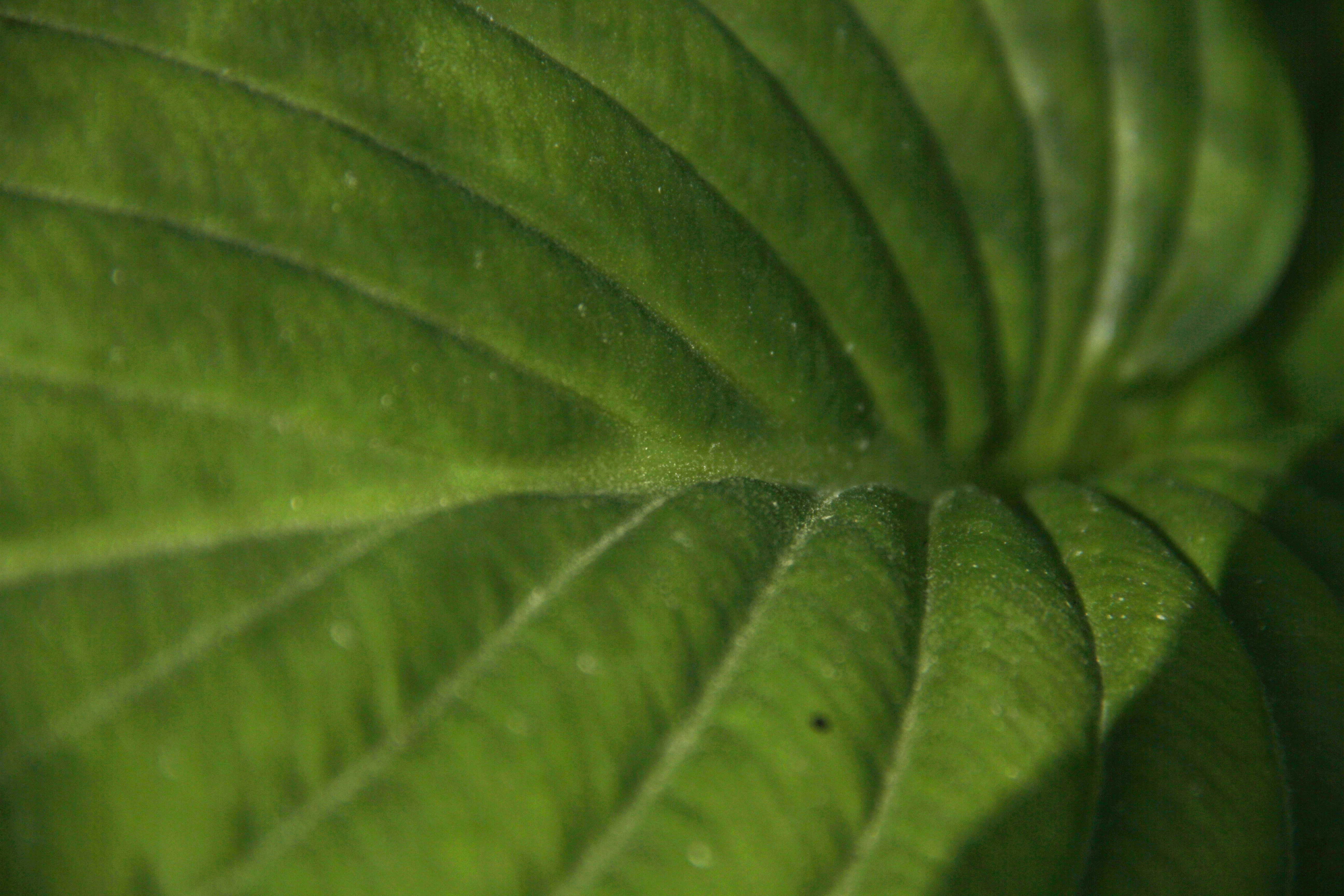 Photo by Daniel Brzdęk with Canon EOS 7D