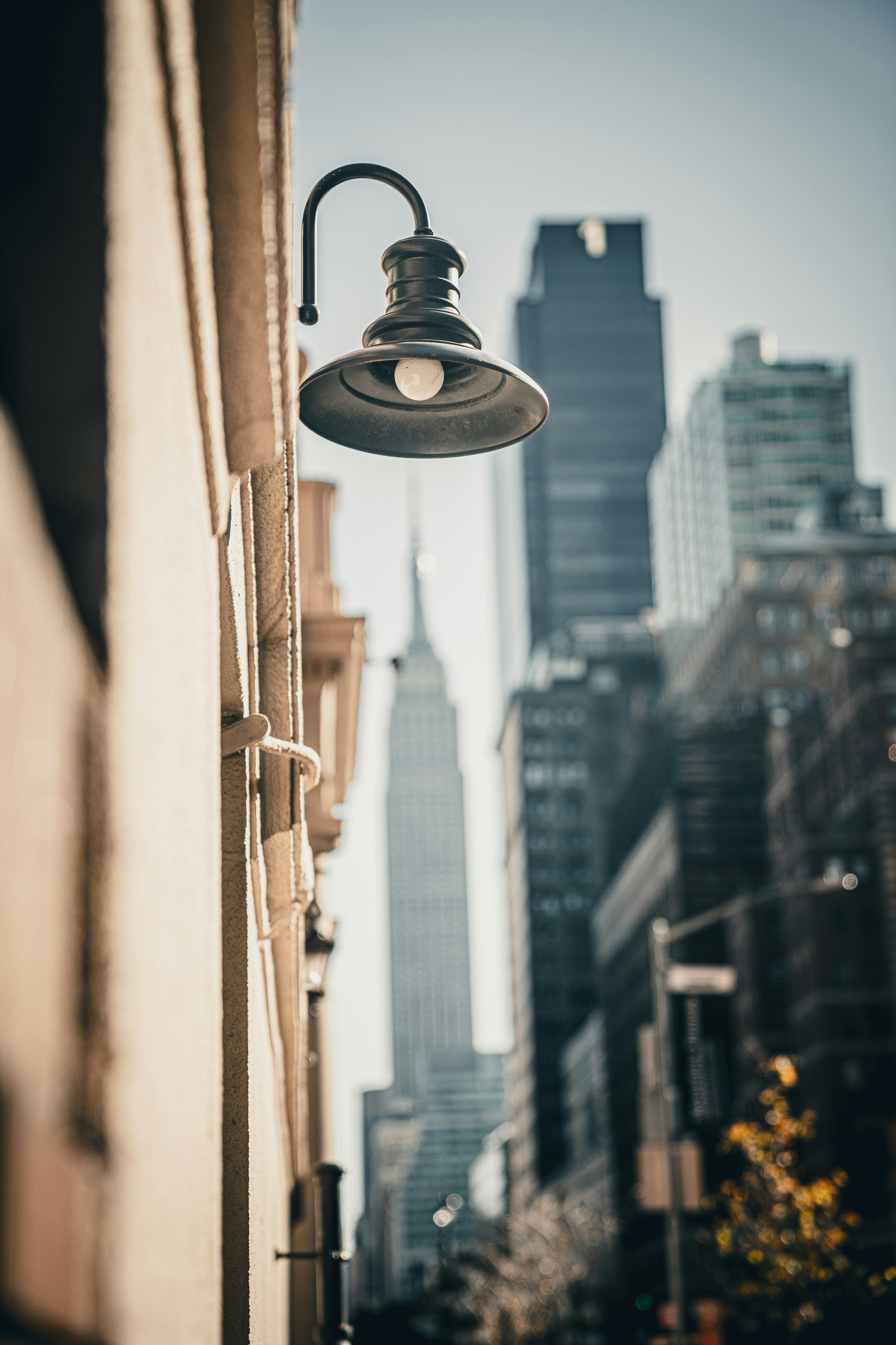 Photo by Lukas Souza with Sony Alpha 7 IV