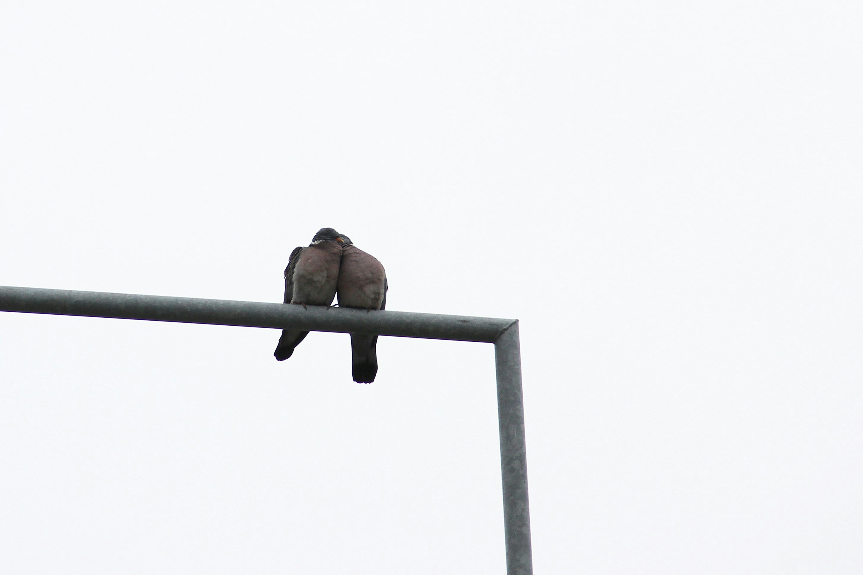 Photo by Daniel Brzdęk with Canon EOS 7D