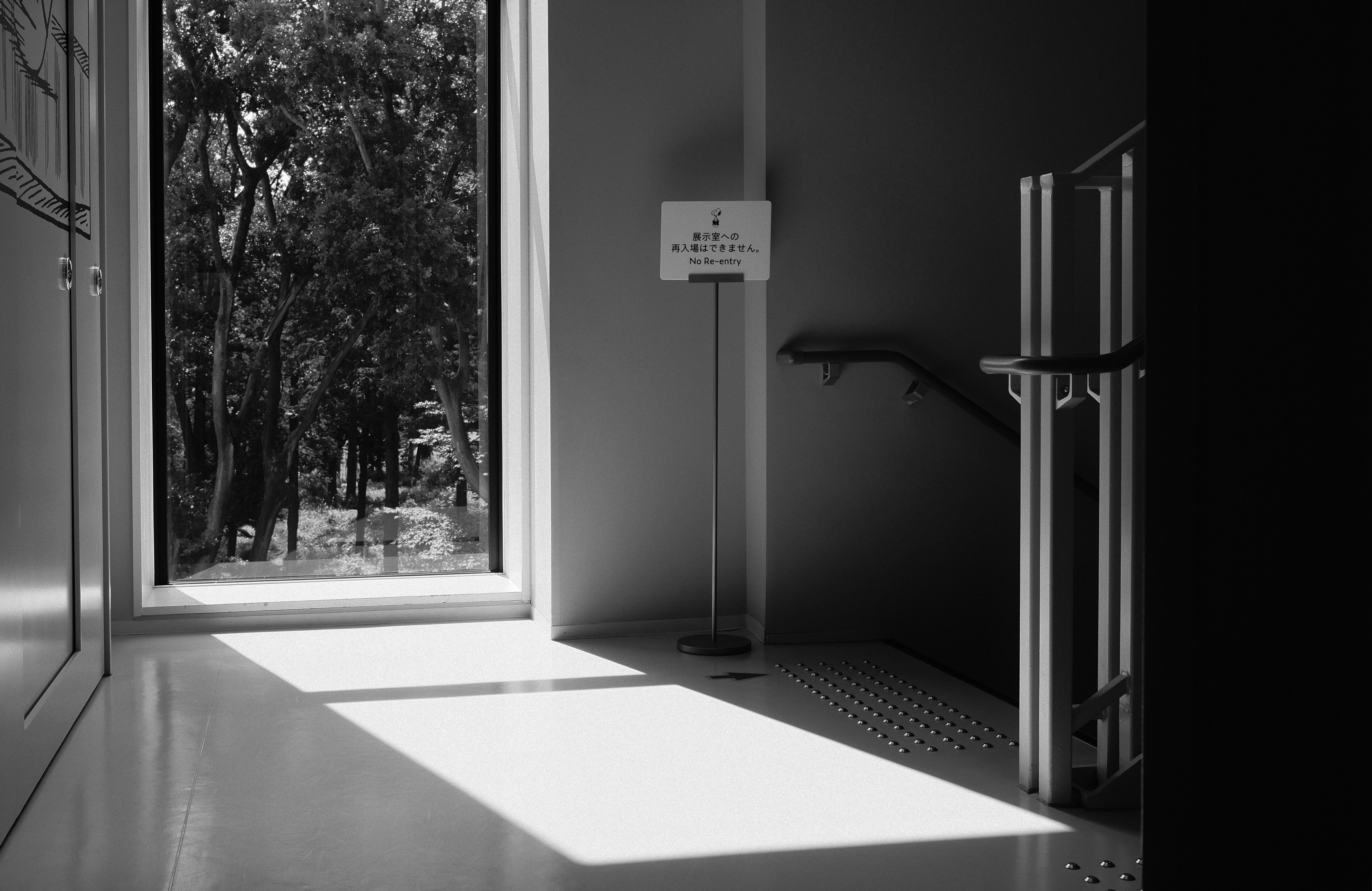 Photo by ZENG YILI with Fujifilm X100V